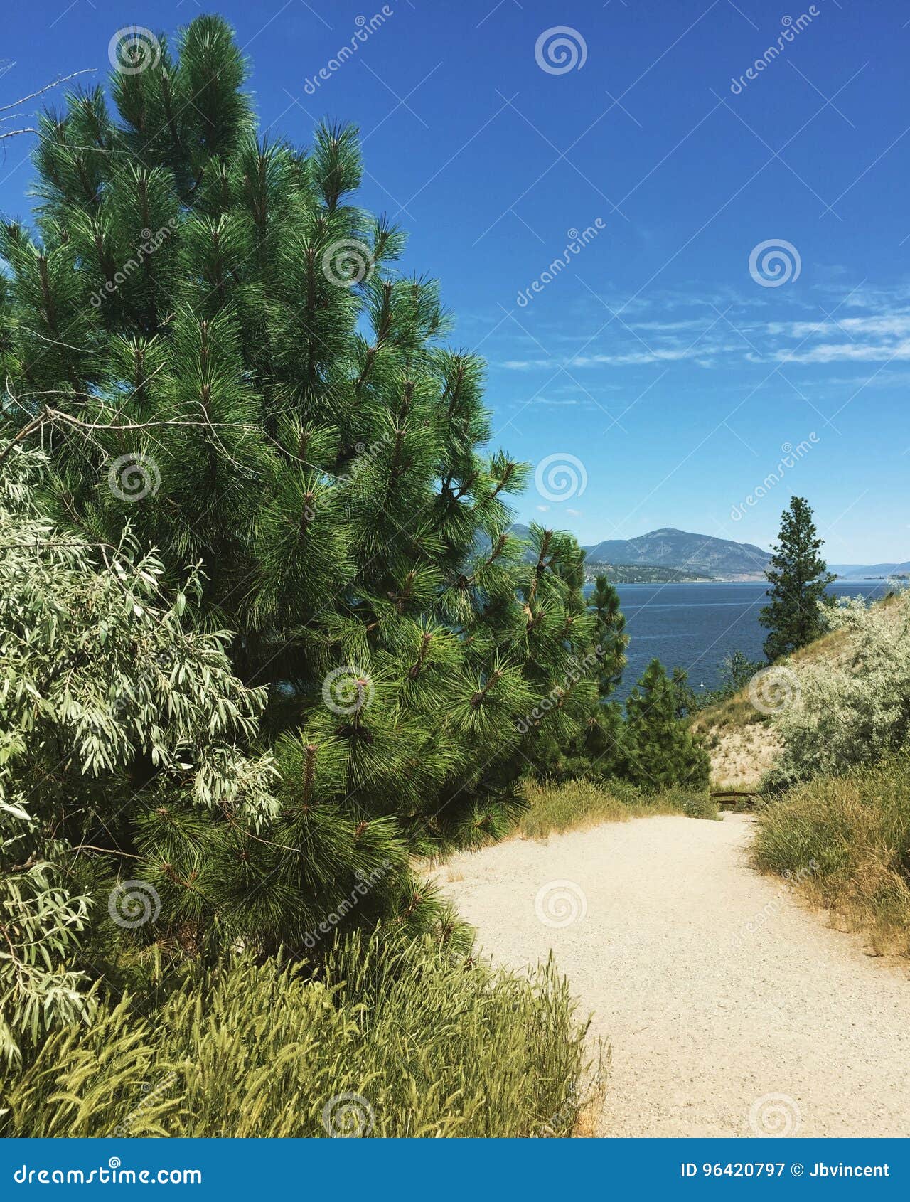 Scenic walking trail stock image. Image of lake, scenery - 96420797
