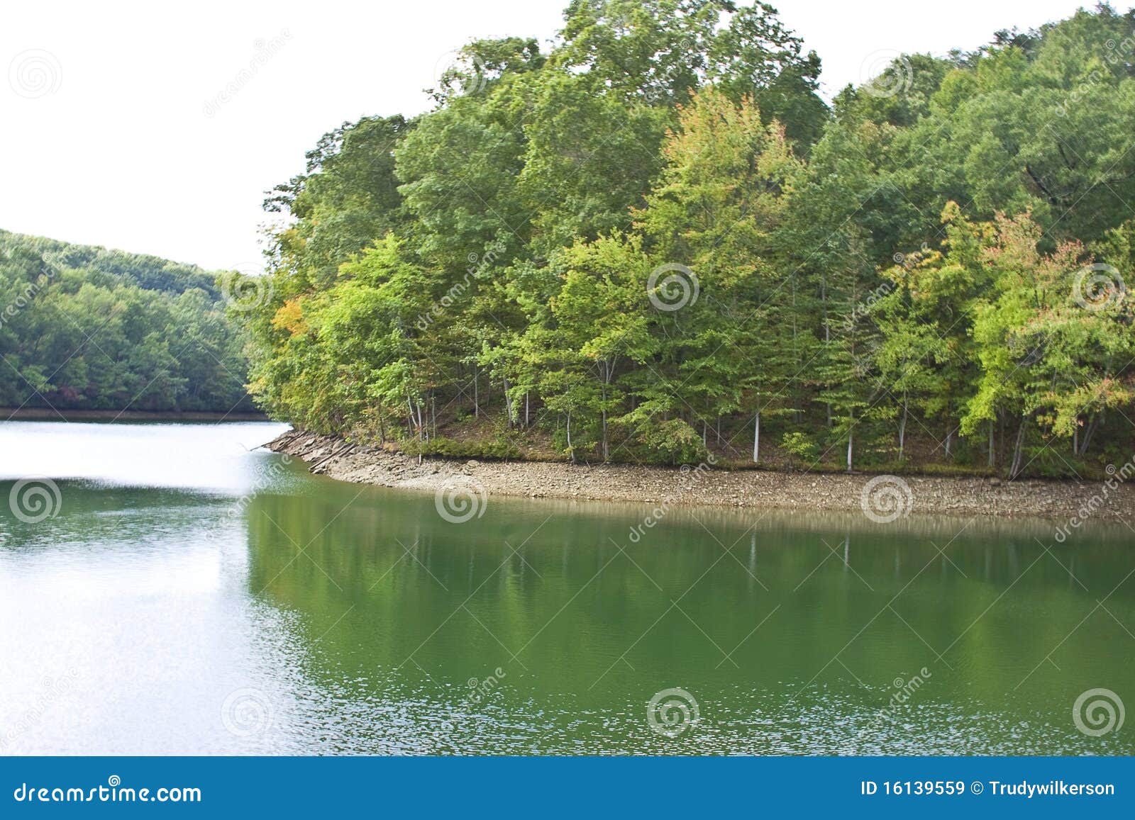 Scenic Water Scene stock image. Image of green, still - 16139559