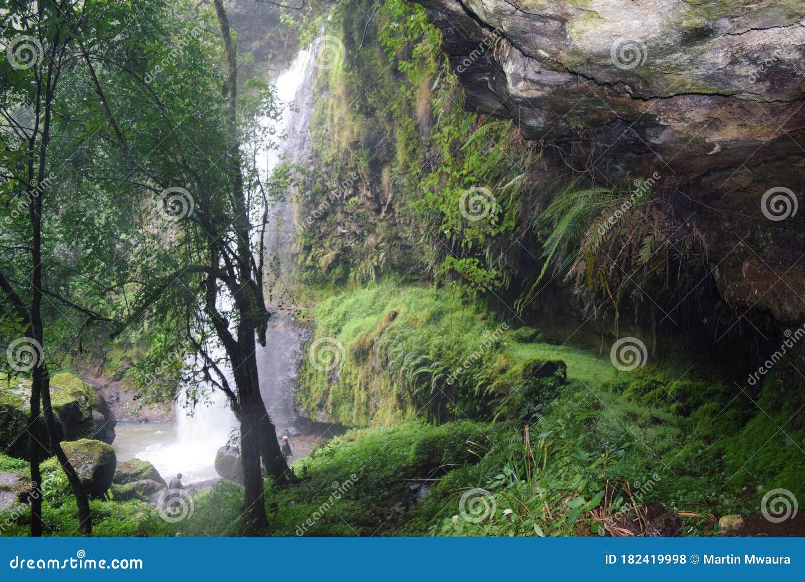 Scenic Waterfall in the Aberdare Ranges, Kenya Stock Photo - Image of ...