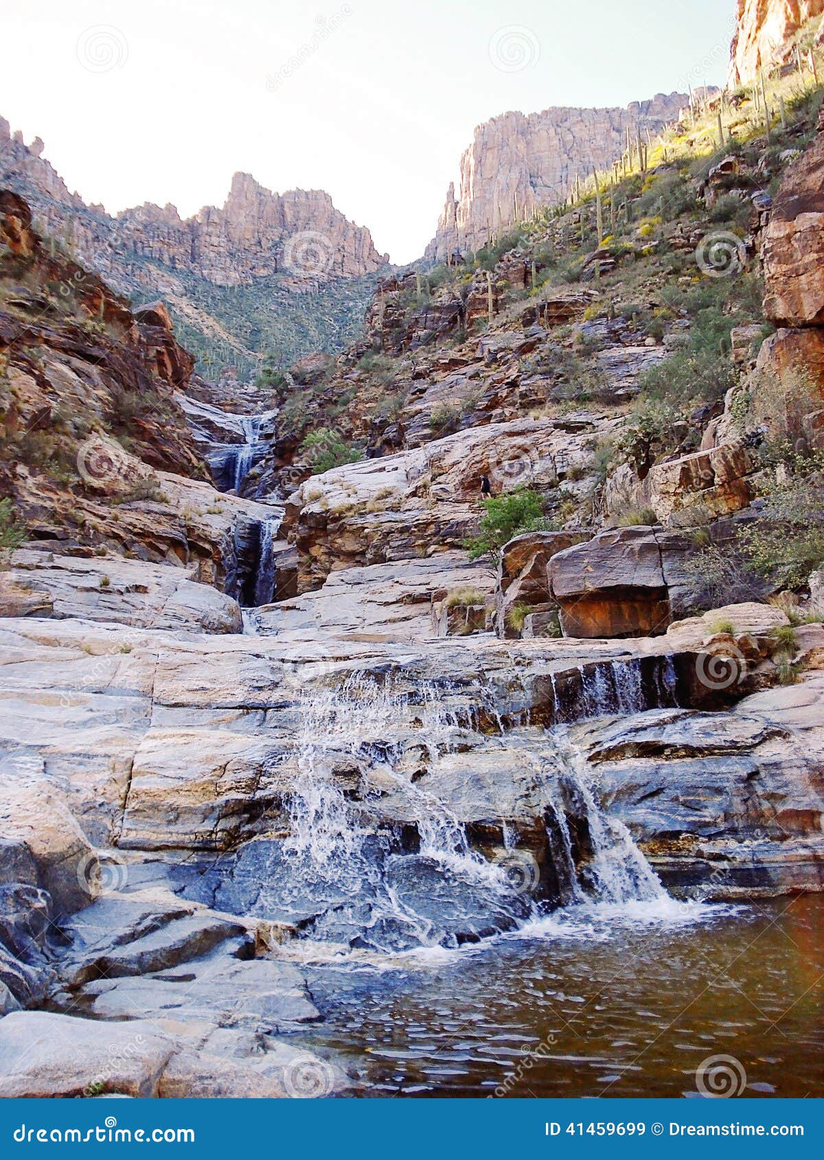 Scenic Waterfall in Arizona Stock Image - Image of water, cactus: 41459699