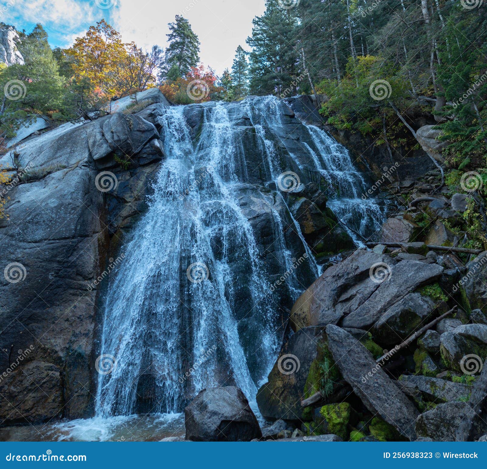 Scenic Waterfall on the Cliffs in the Deep Forest Stock Image - Image ...