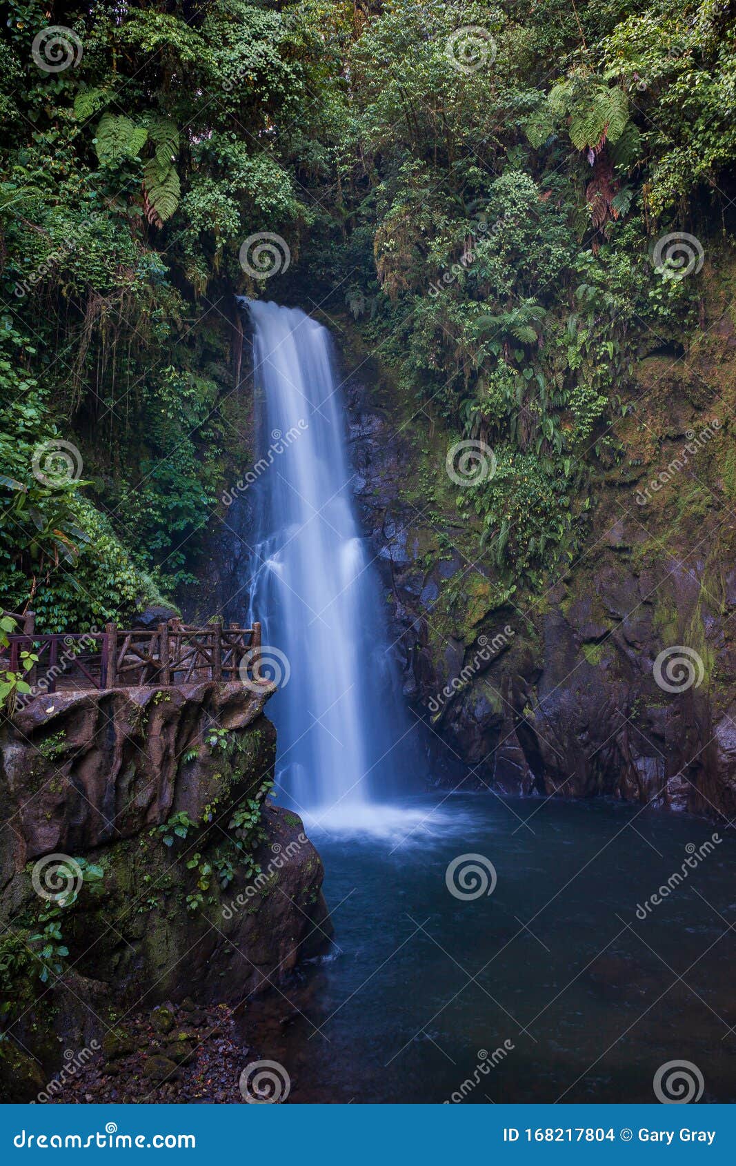 Scenic Waterfall in a Costa Rica Jungle Stock Photo - Image of jungle ...