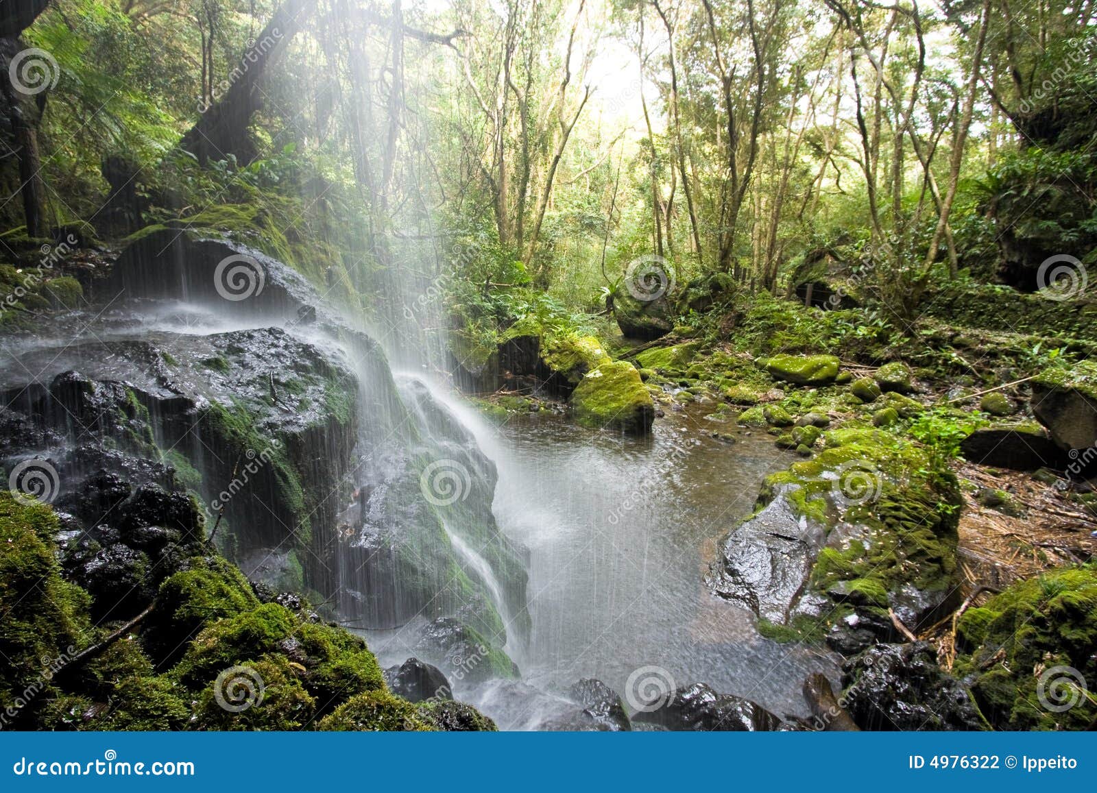 Scenic Waterfall Cascades Stock Image | CartoonDealer.com #206463817