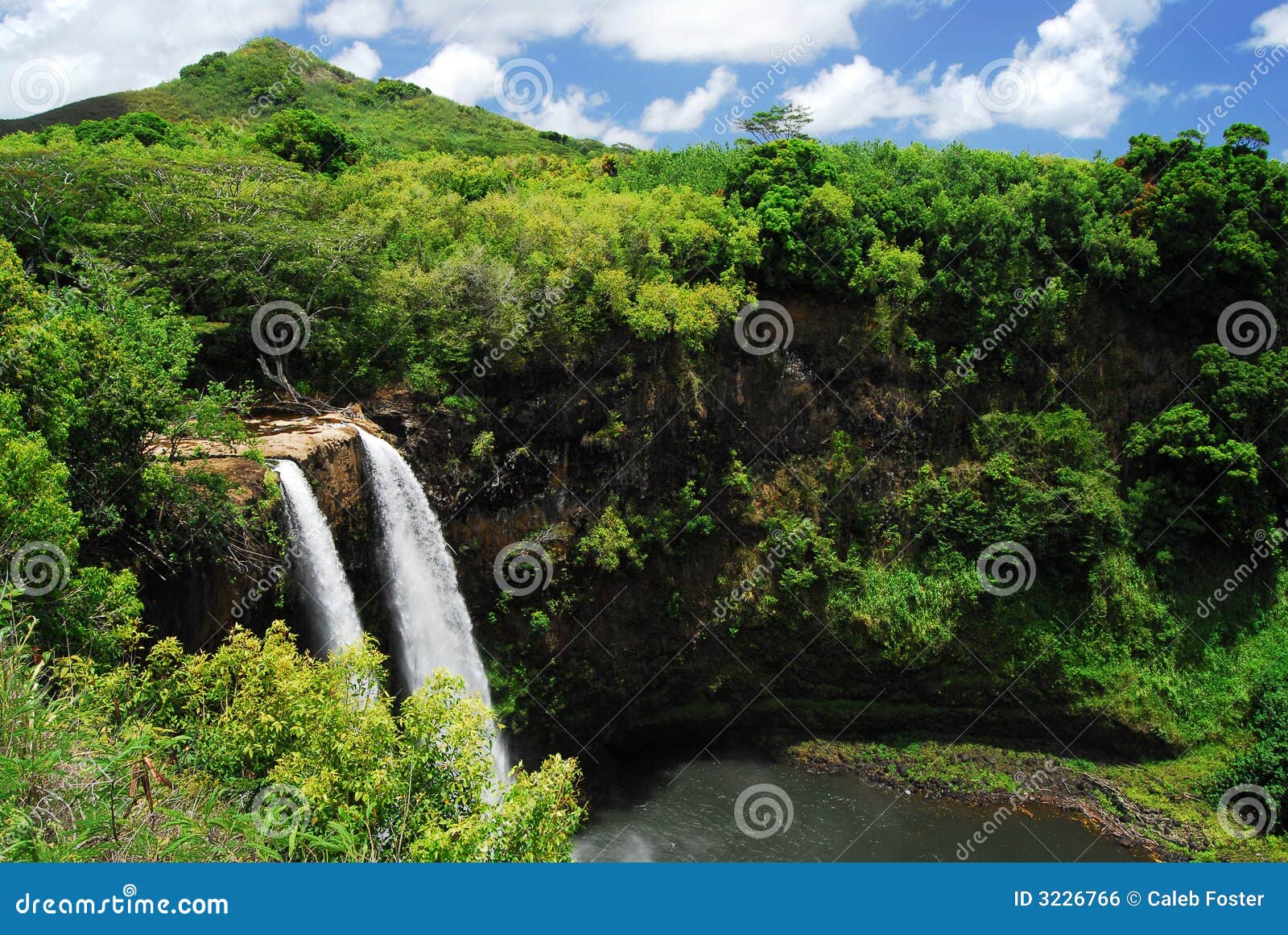 Scenic waterfall in Hawaii stock photo. Image of palm - 3226766