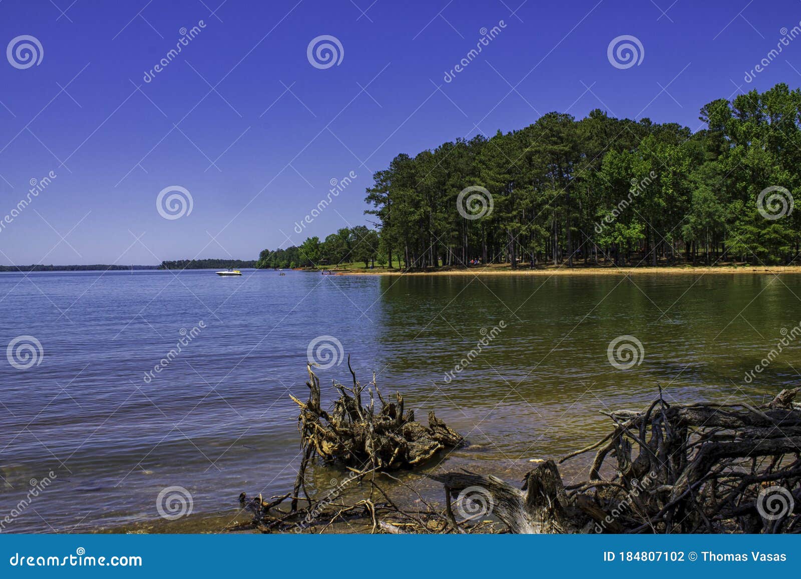The Scenic West Point Lake stock photo. Image of lake - 184807102