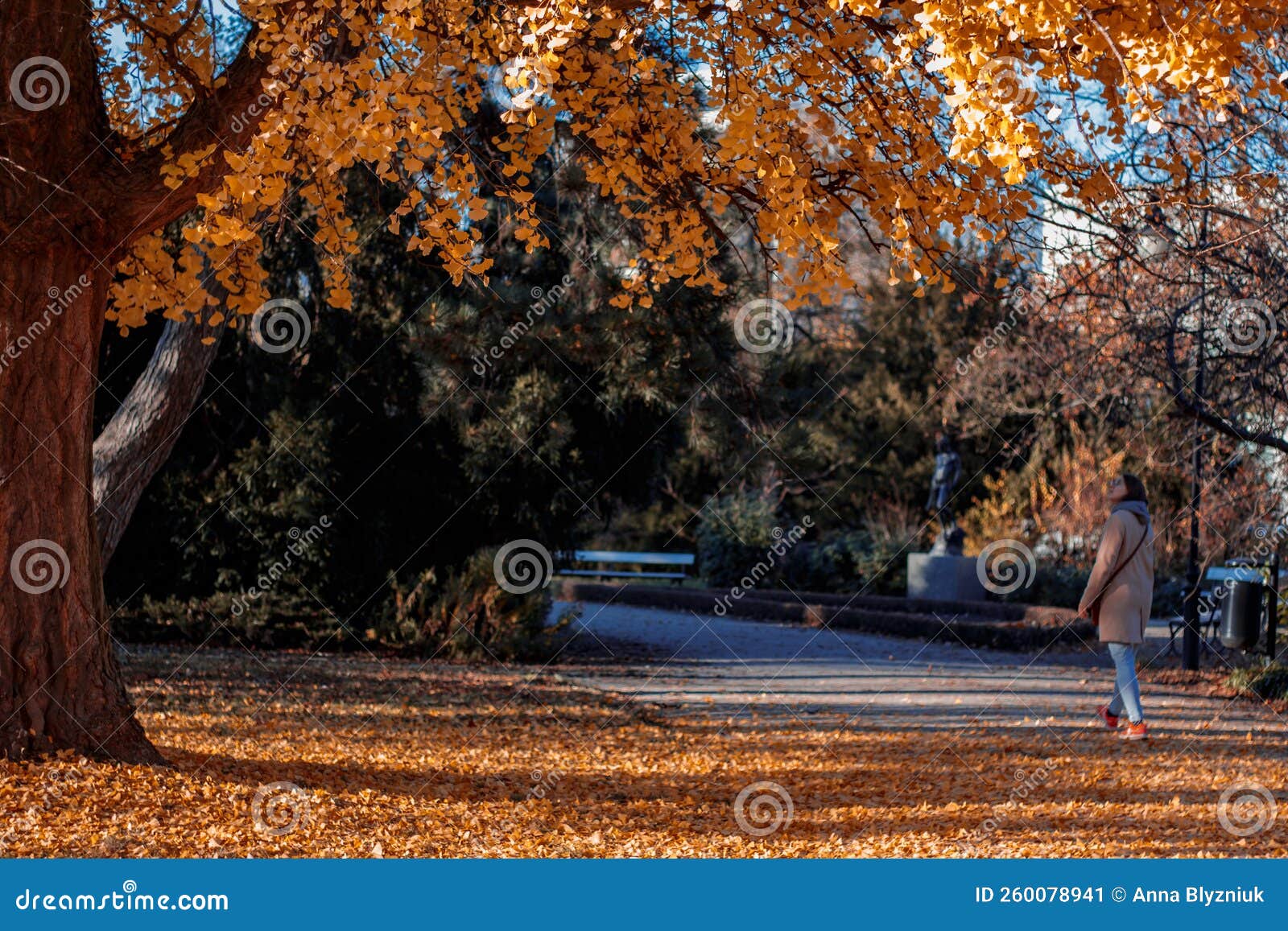 Scenic of a Yong Lady Walking on a Pathway of a Park in Autmn Editorial ...