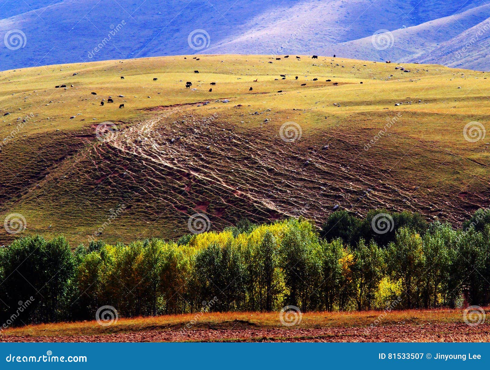 Scenics stock image. Image of china, butte, field, moor - 81533507