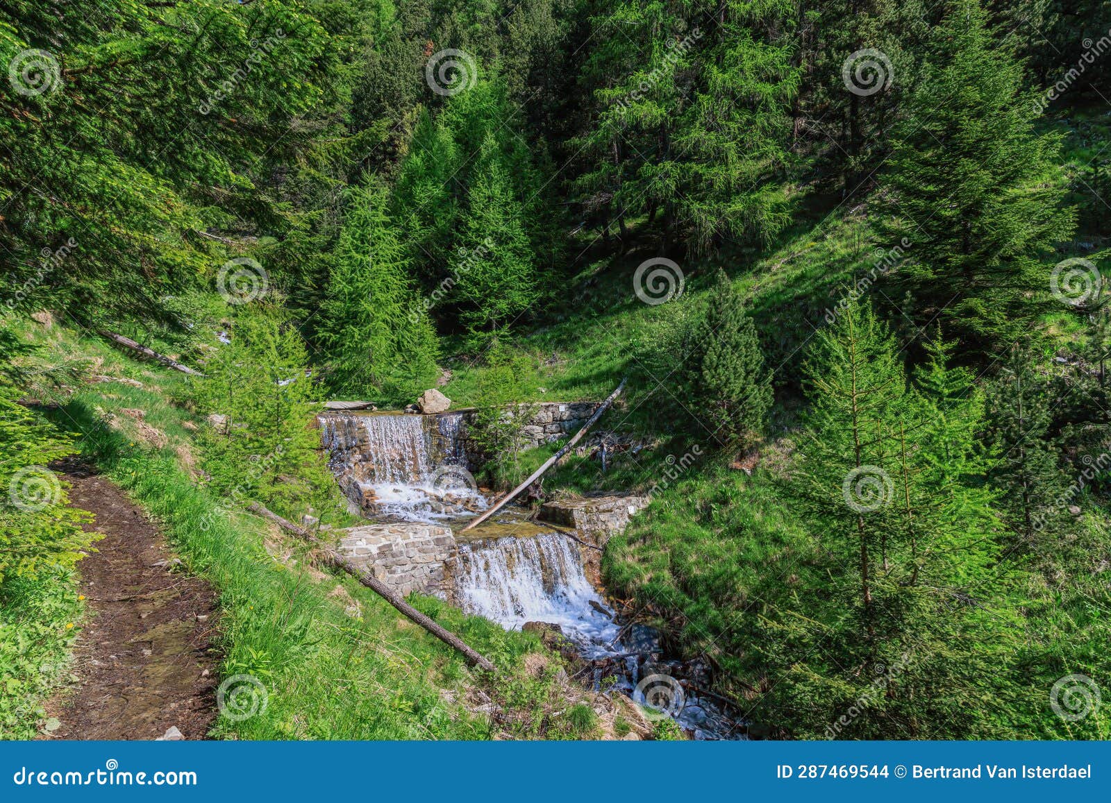 A Scenics View of a Mountain Stream with Waterfall and Surrounded by ...