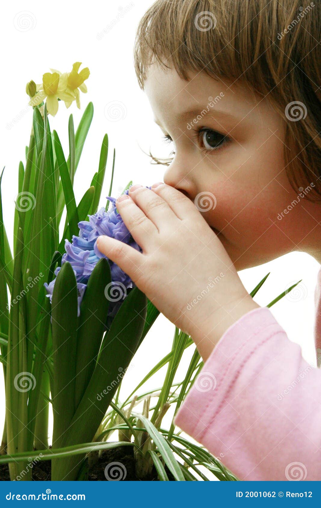 Scent of spring stock photo. Image of nose, beautiful - 2001062