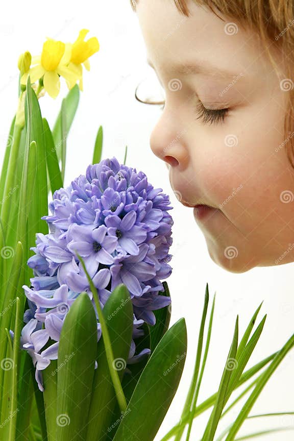 Scent of spring stock photo. Image of exploring, green - 2016224