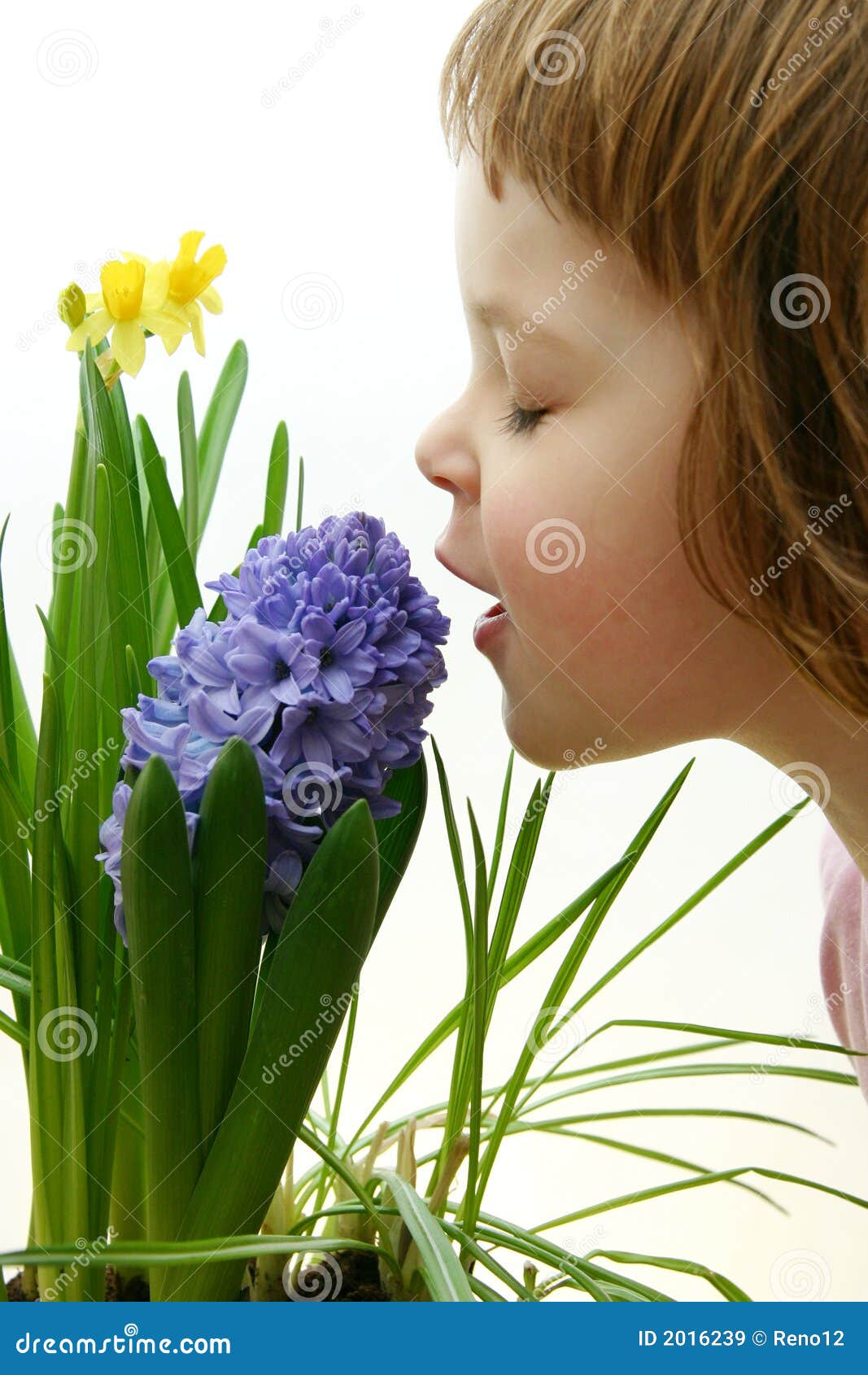 Scent of spring stock image. Image of girl, explore, kids - 2016239