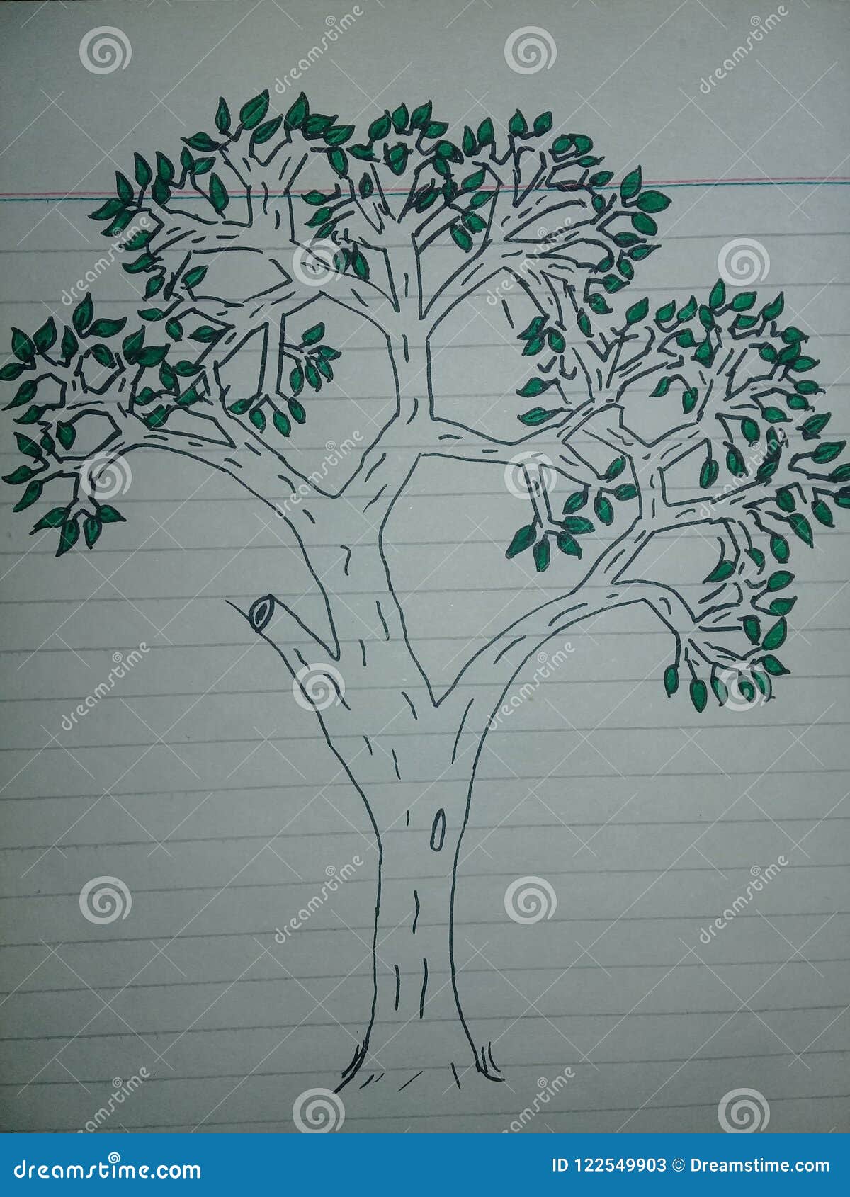 Scetch tree stock image. Image of green, tree, scetch - 122549903