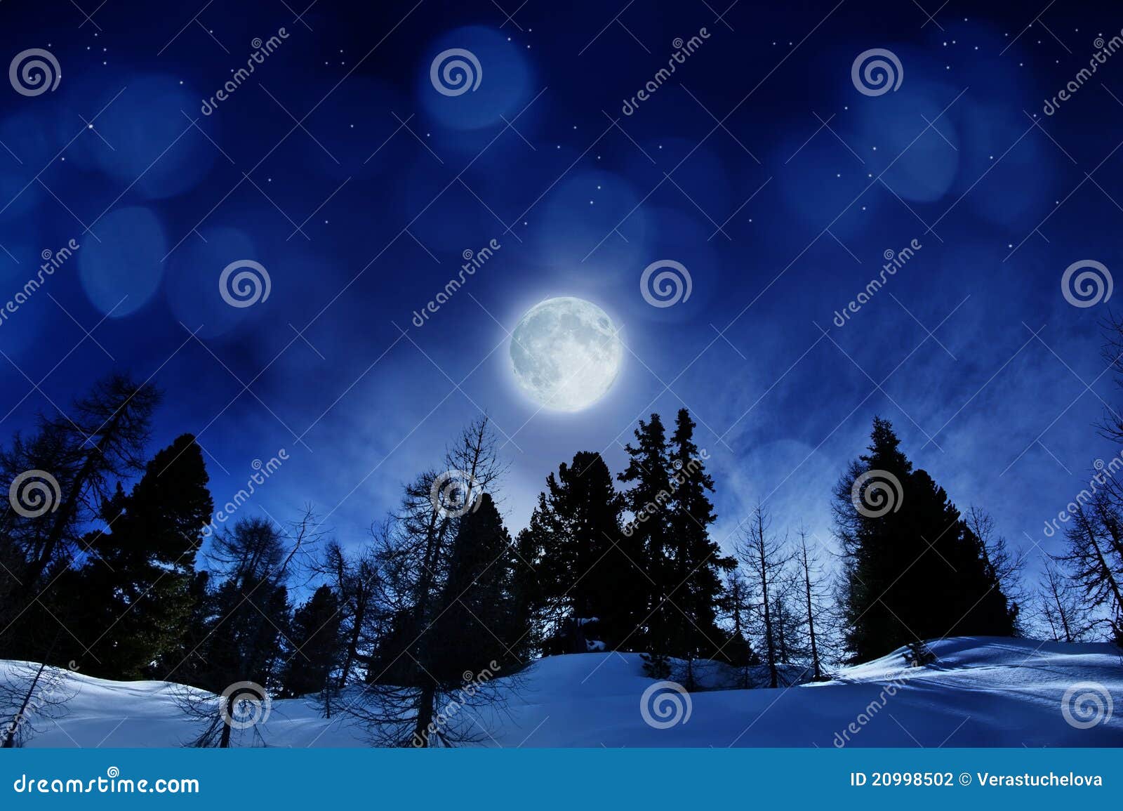 Schöne Winternacht stockfoto. Bild von nacht, geheimnisvoll - 20998502