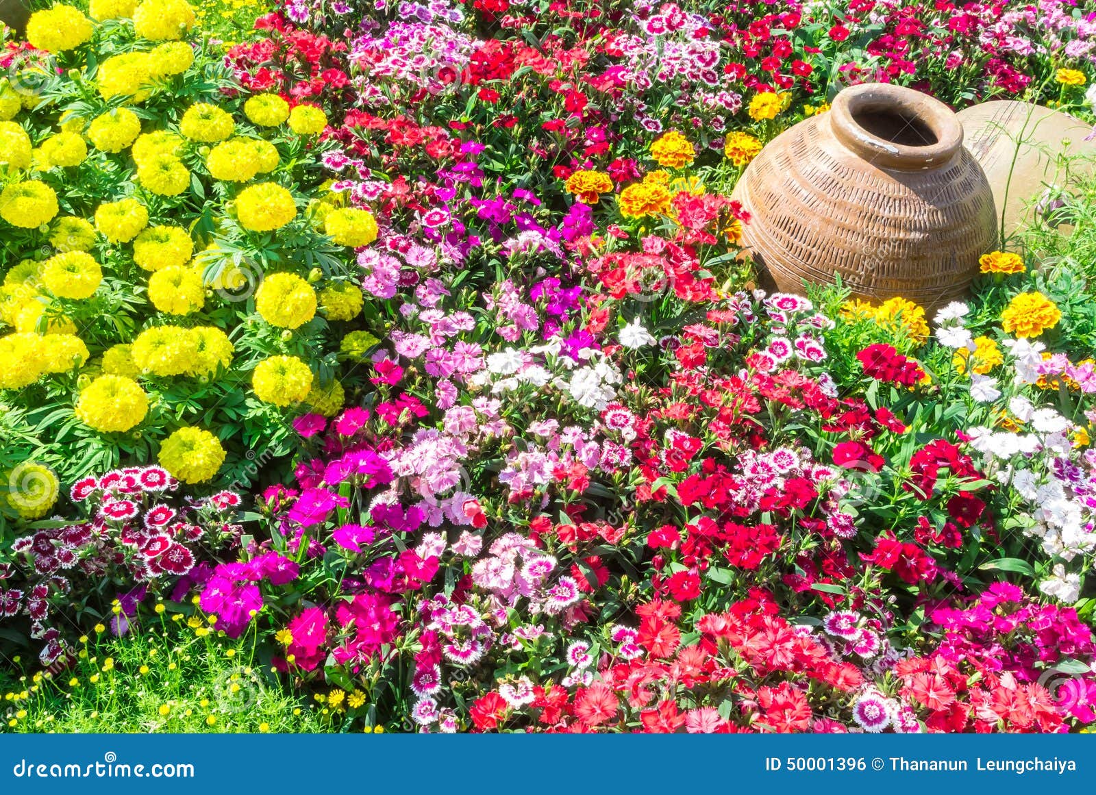 Schöner Blumengarten stockfoto. Bild von auslegung, haus - 50001396