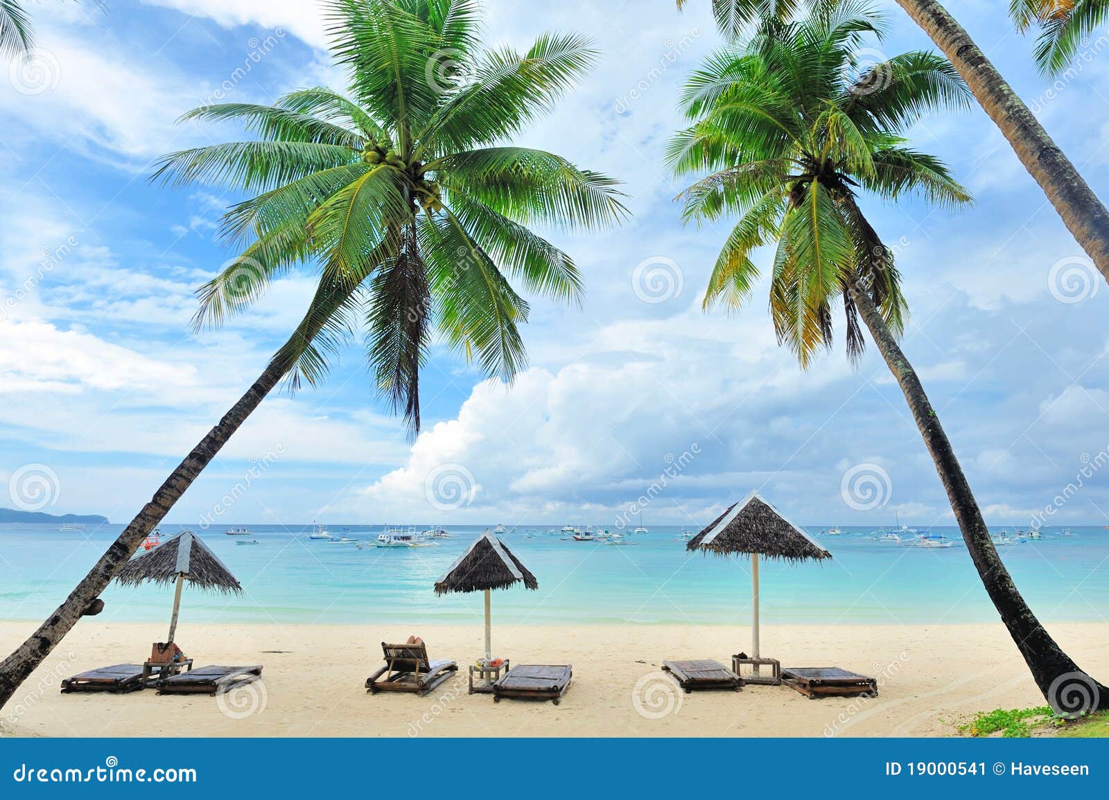 Schöner Strand mit Palmen stockbild. Bild von blau, tourist - 19000541