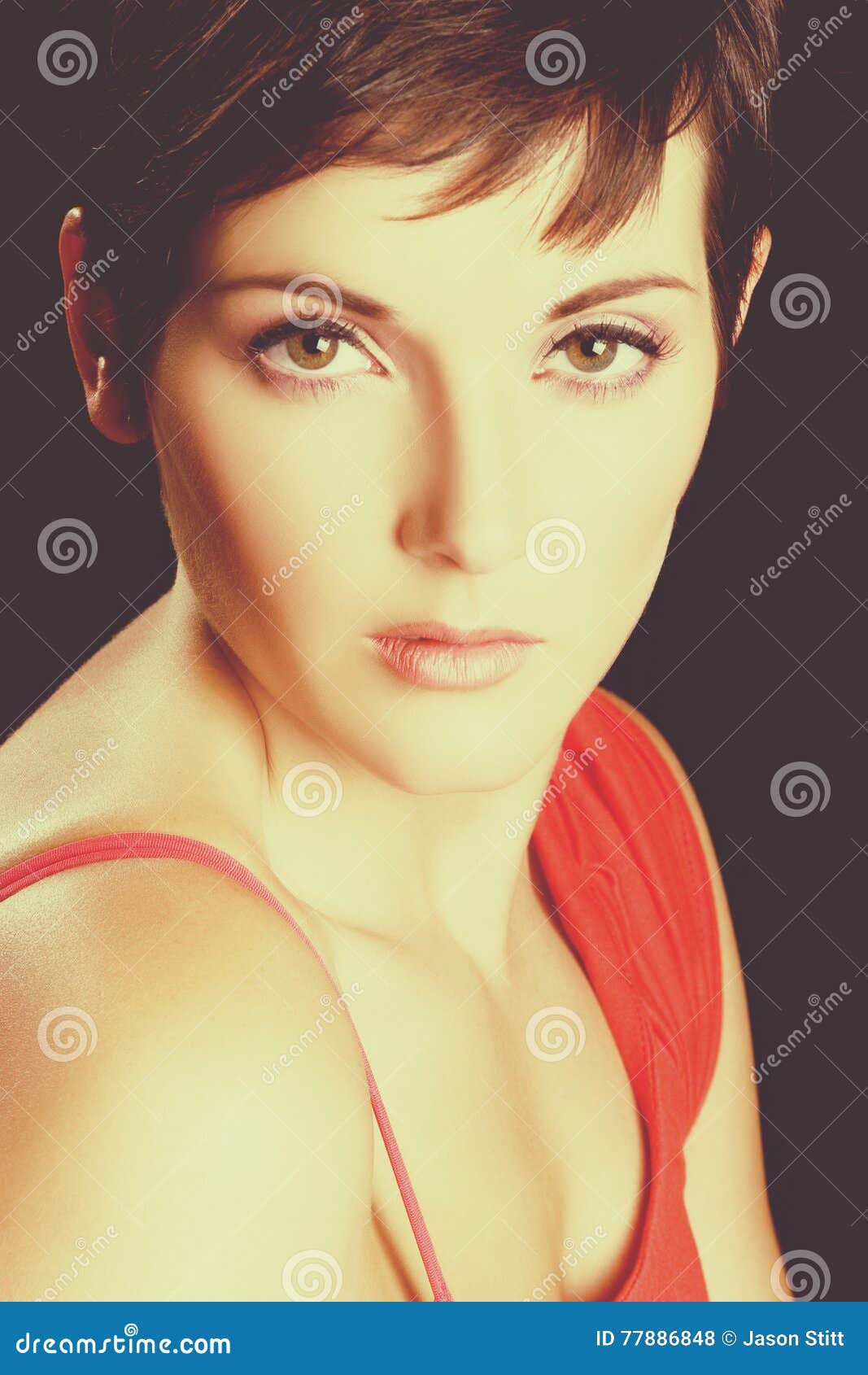 Schönes Frauenportrait stockfoto. Bild von weinlese, person - 77886848