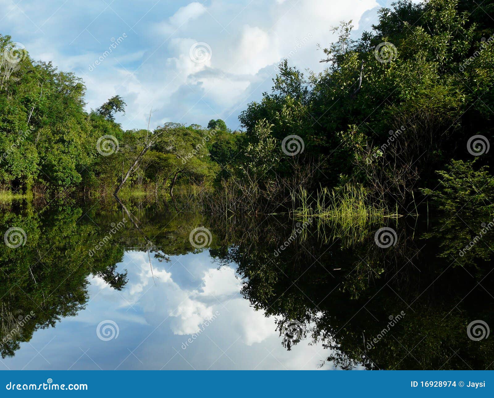 Schönheit Von Amazonas-Fluss Stockfoto - Bild von kultur, schönheit ...