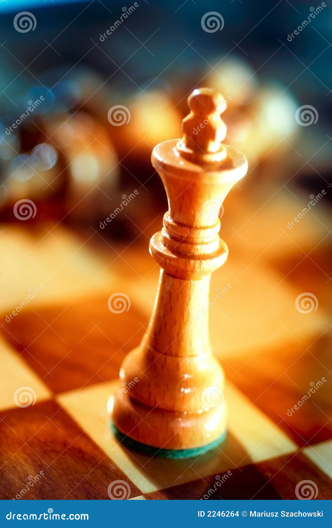 Schaak stock foto. Image of ridder, capaciteit, controlepartner - 2246264