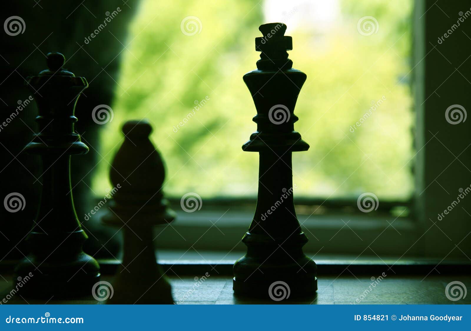 Schaak stock afbeelding. Image of stukken, bischop, koning - 854821