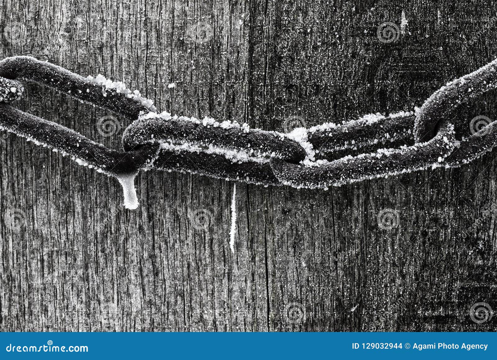 Schalmen, Chain links stock photo. Image of links, ijsktistallen ...