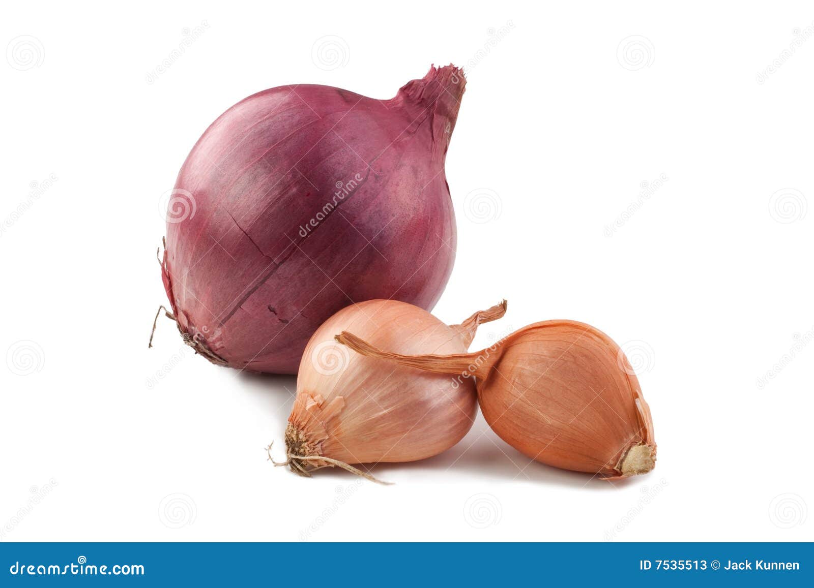 Schalotte und rote Zwiebel stockbild. Bild von organisch - 7535513