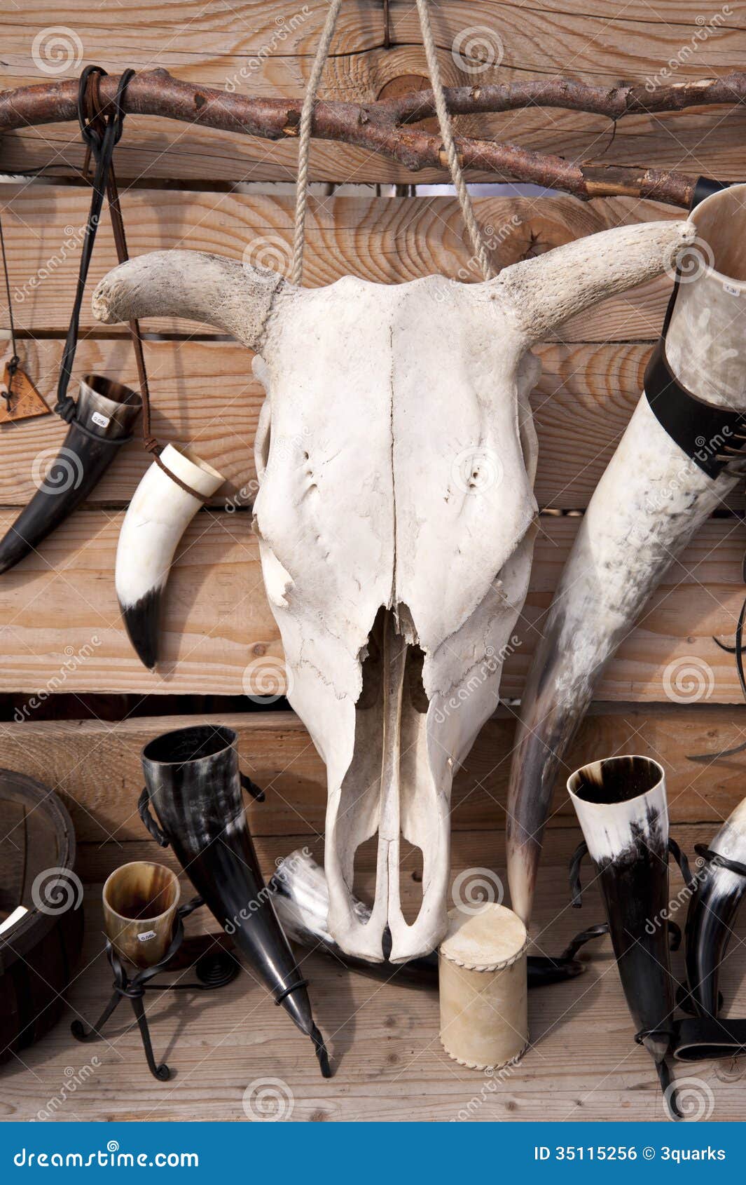 Schedel stock foto. Image of schedel, hoornen, schedels - 35115256