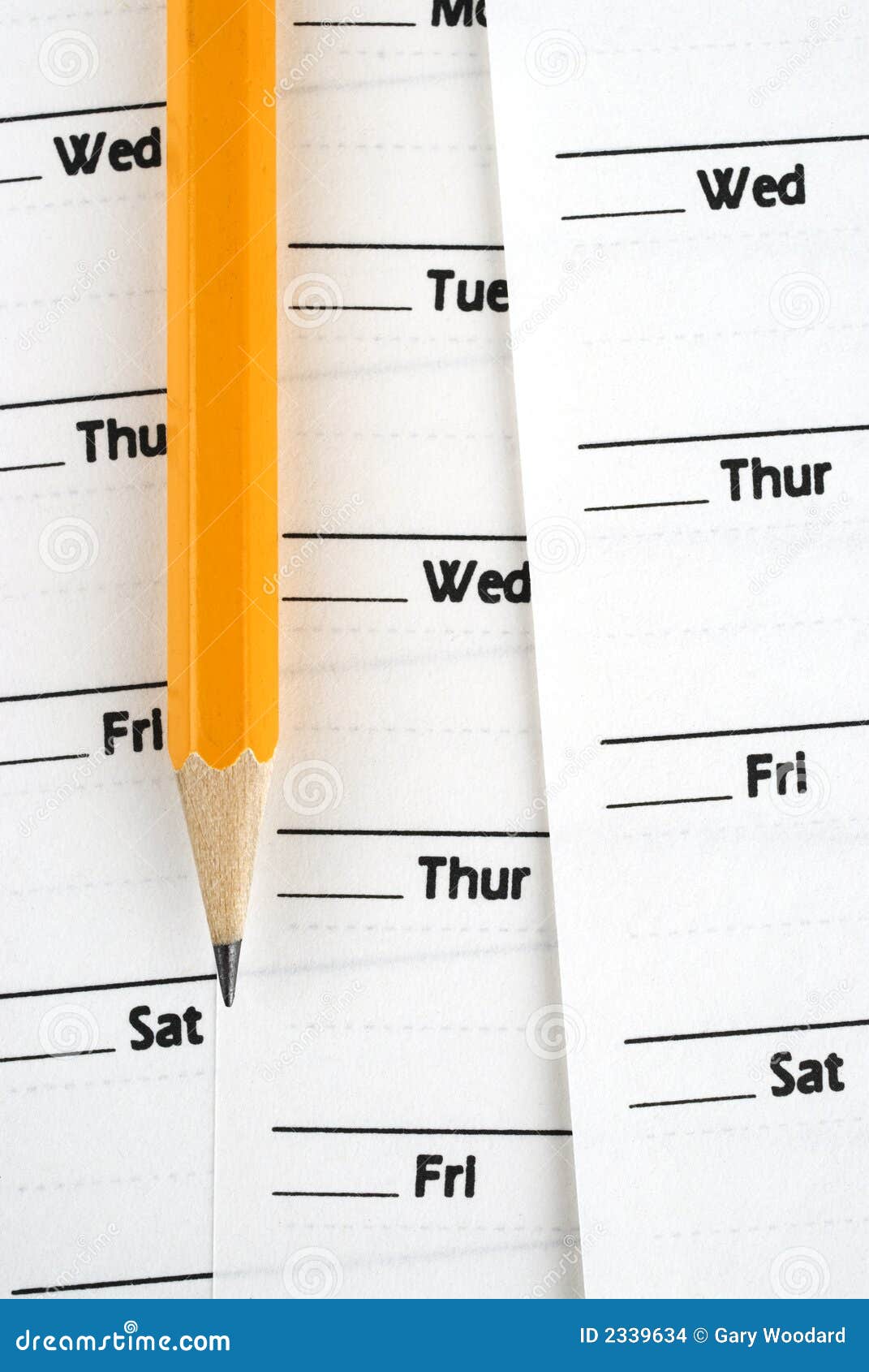 Daily Schedule. stock photo. Image of closeup, office - 2339634