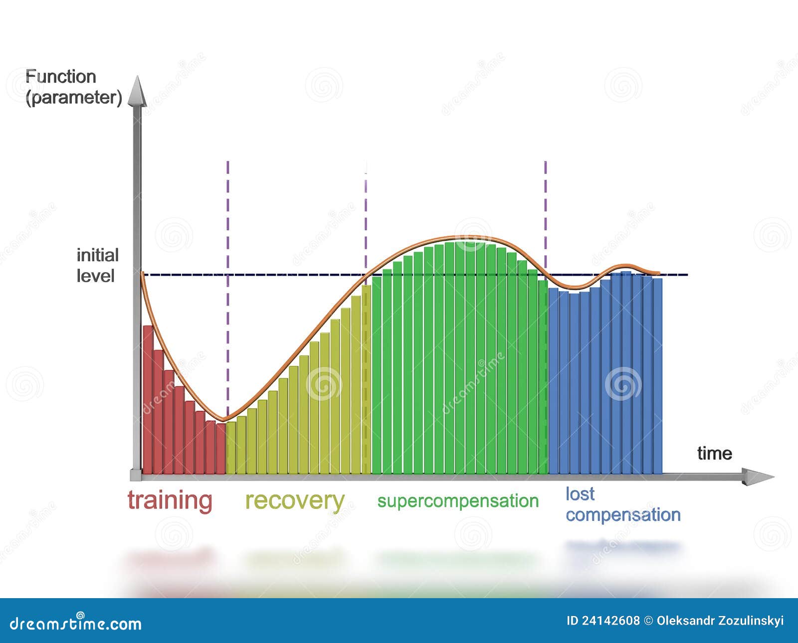 Supercompensation Stock Illustrations – 20 Supercompensation Stock ...