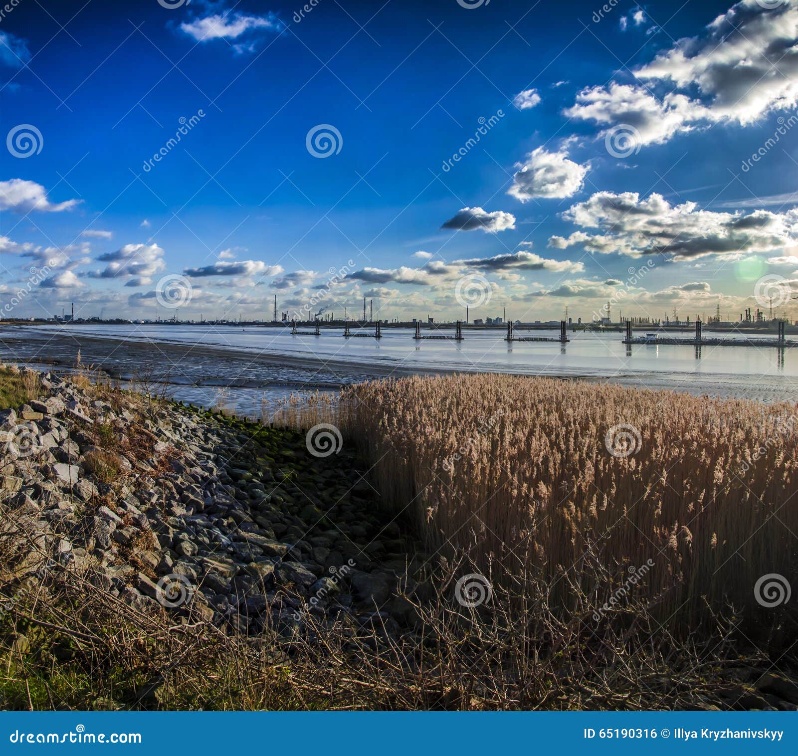 The Scheldt in Antwerp, Belgium Stock Photo - Image of blue, port: 65190316