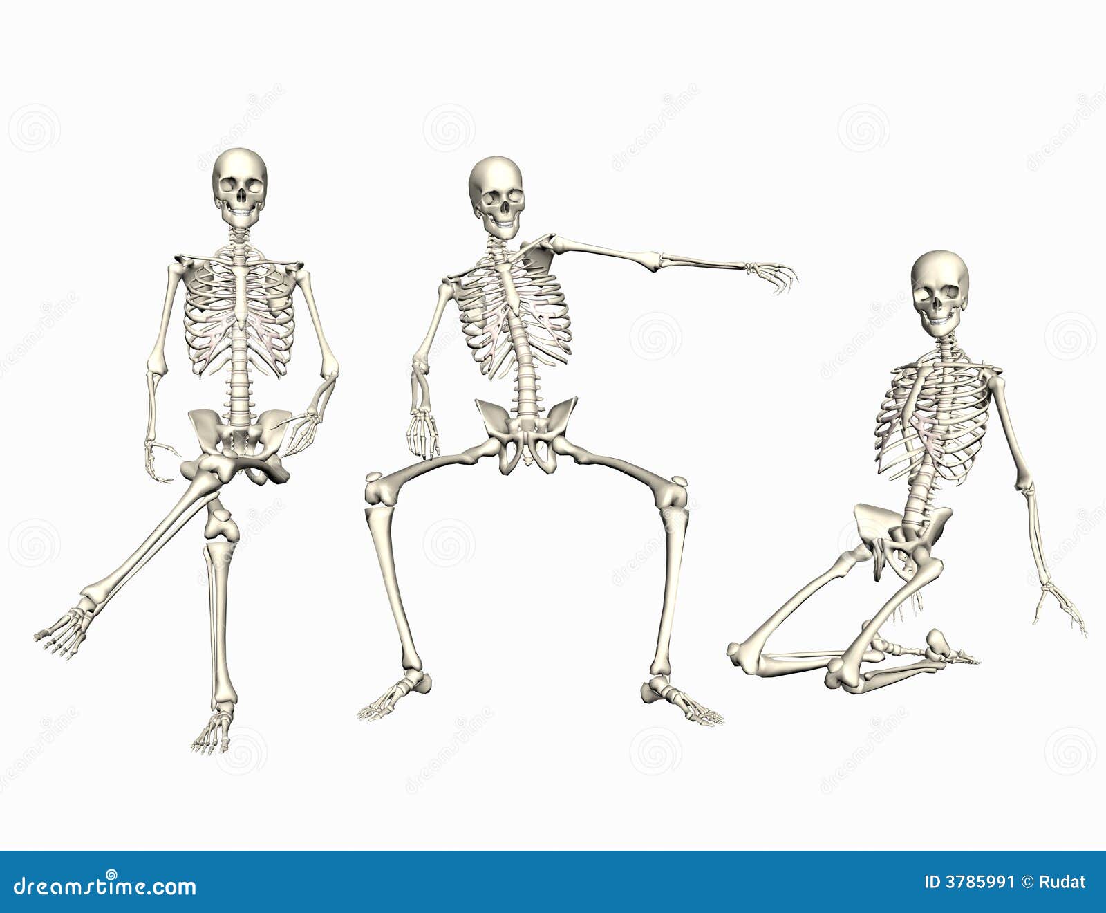 Scheletri illustrazione di stock. Illustrazione di morte - 3785991