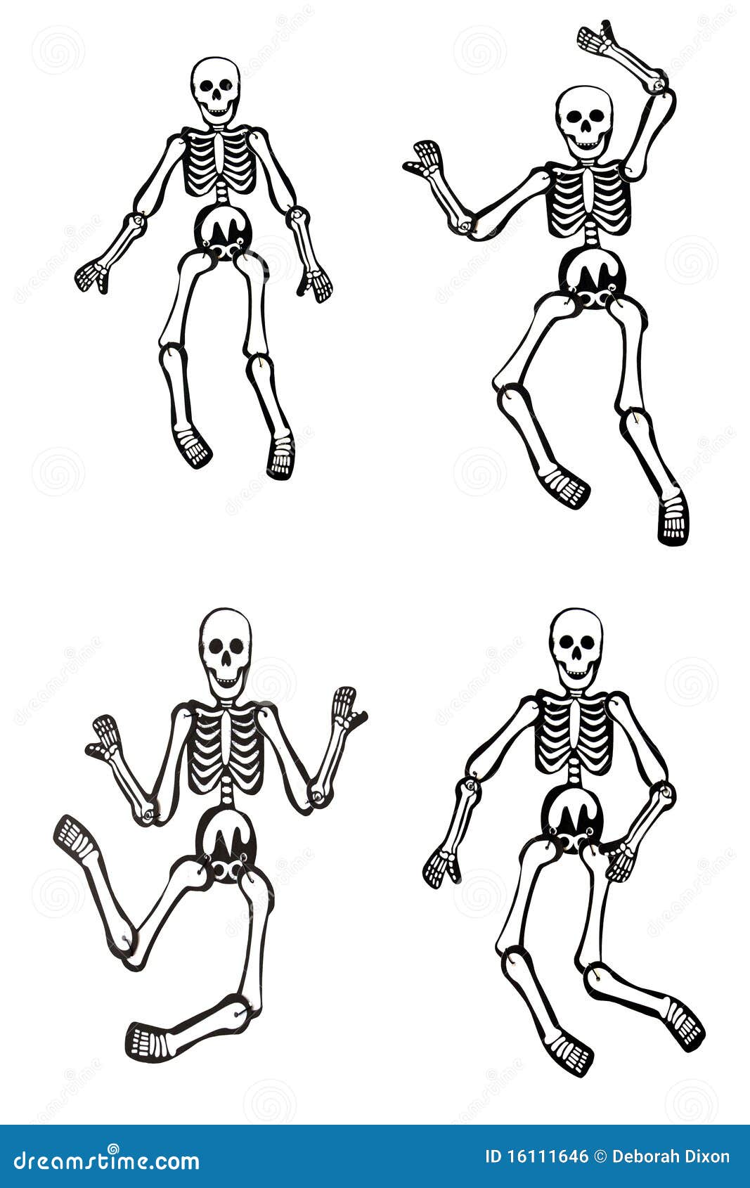 Scheletri di Halloween fotografia stock. Immagine di scheletri - 16111646