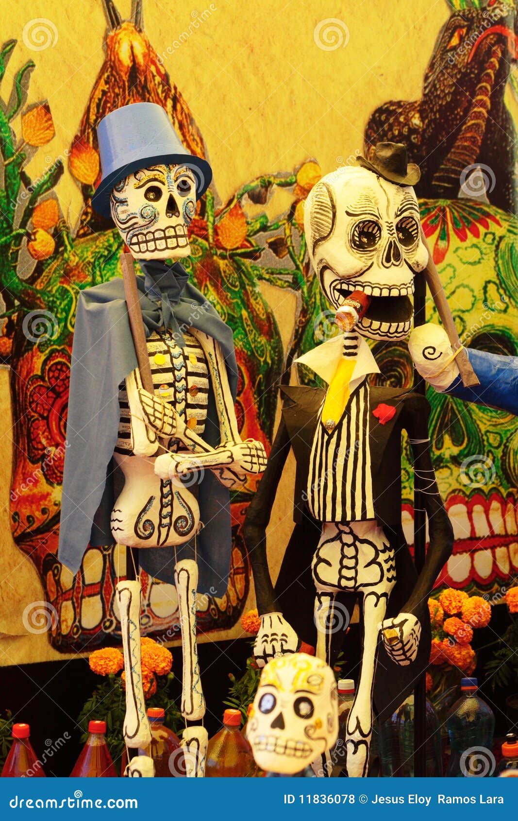 Scheletri II illustrazione di stock. Illustrazione di cranio - 11836078