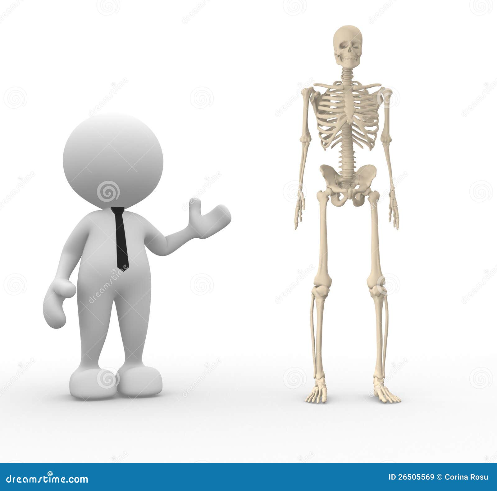 Scheletro illustrazione di stock. Illustrazione di persona - 26505569