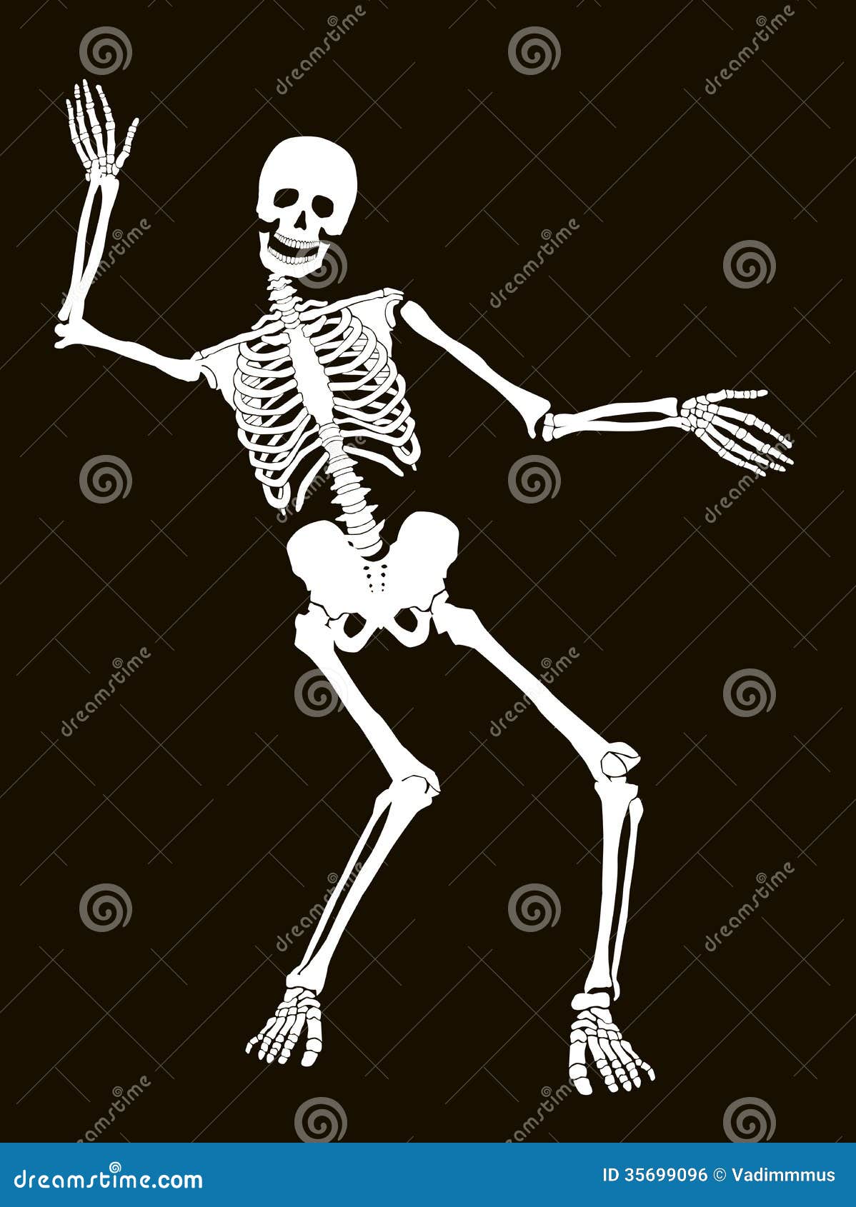Scheletro illustrazione vettoriale. Illustrazione di divertente - 35699096