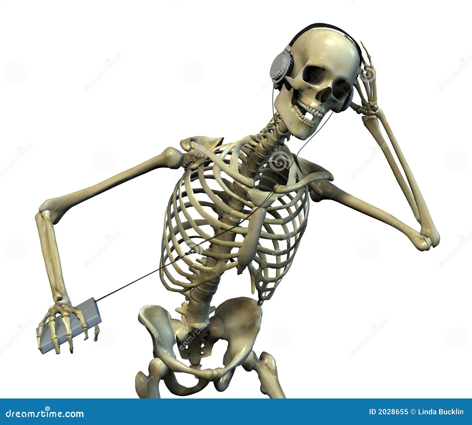 Scheletro Che Ascolta La Musica Illustrazione di Stock - Illustrazione ...