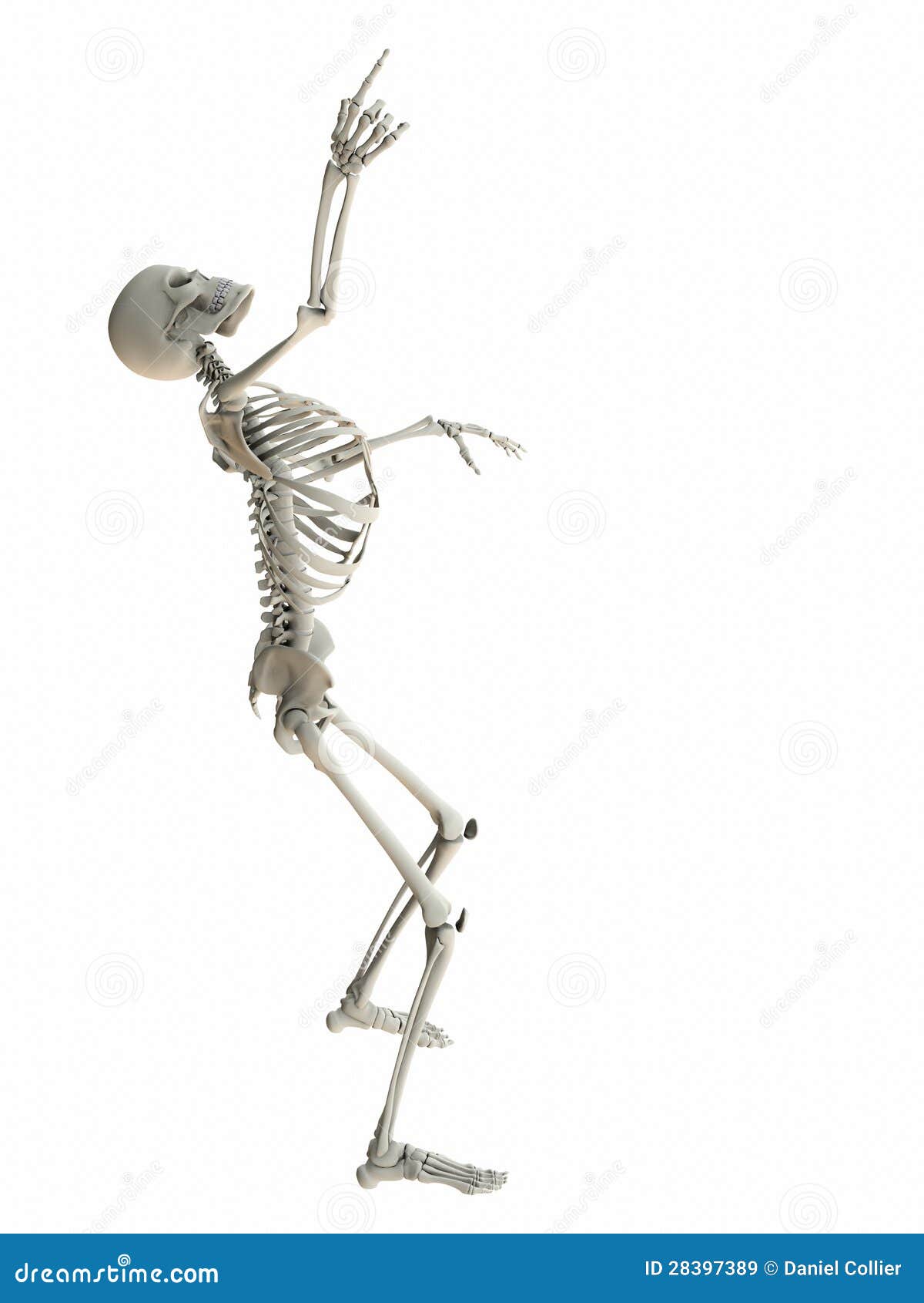 Scheletro Che Indica Allo Spazio Della Copia Illustrazione di Stock ...