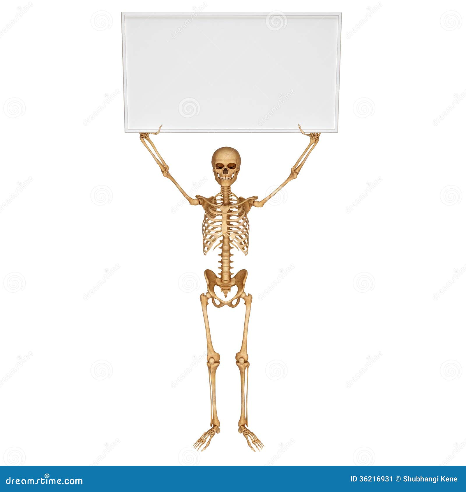 Scheletro Con La Mostra Del Segno Illustrazione di Stock ...
