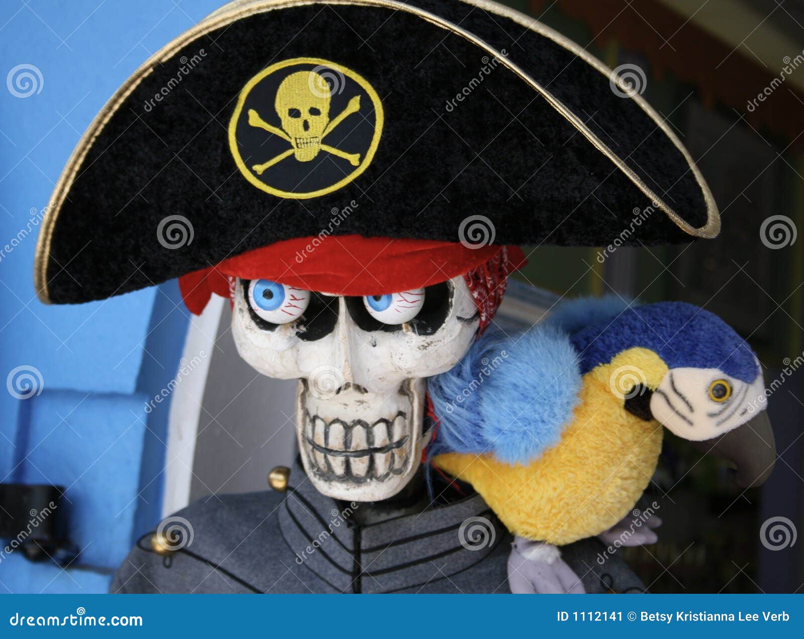 Scheletro Del Pirata Con Il Pappagallo Immagine Stock - Immagine di ...