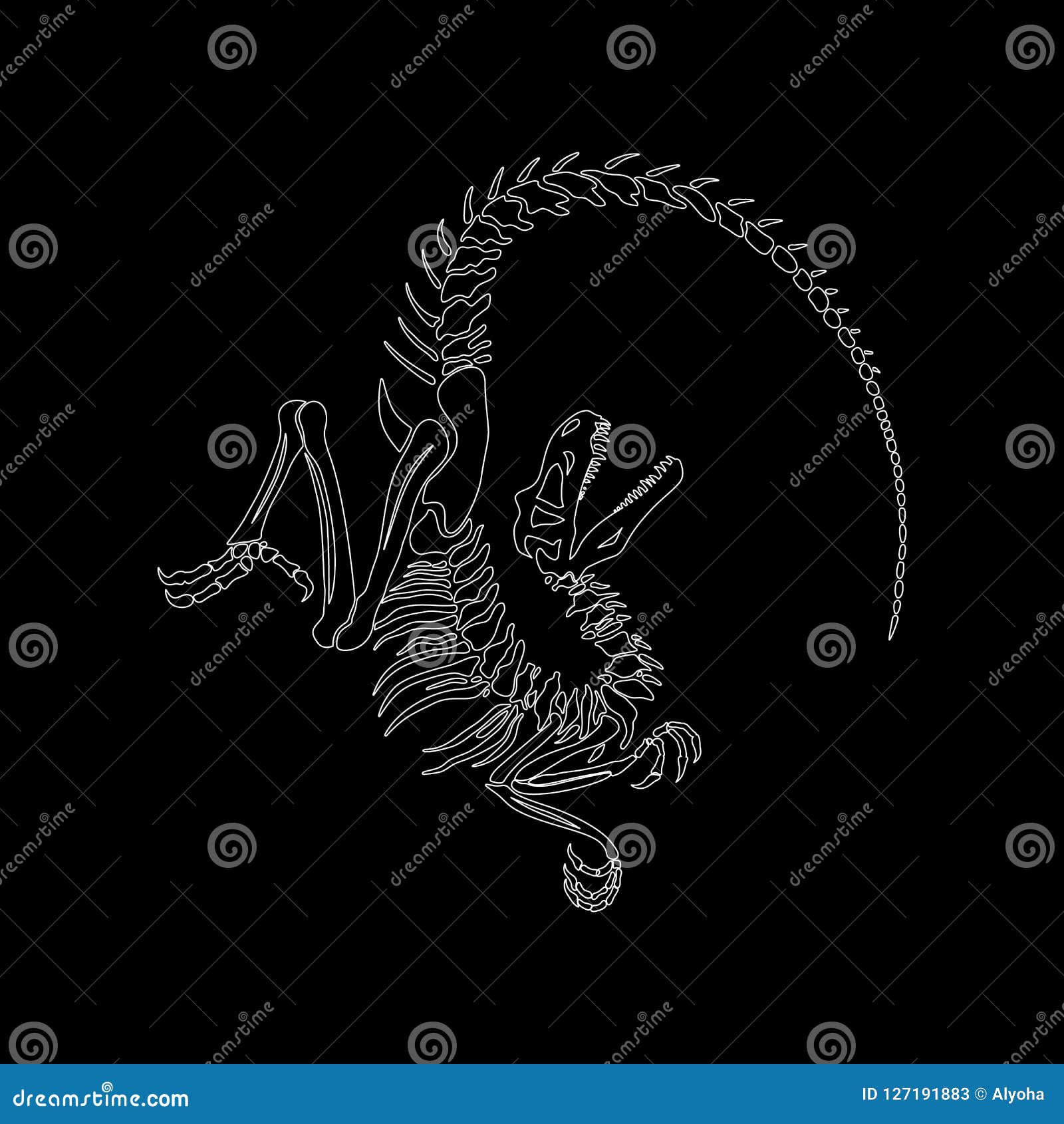 Scheletro Del Velociraptor Profilo Bianco Illustrazione Vettoriale ...