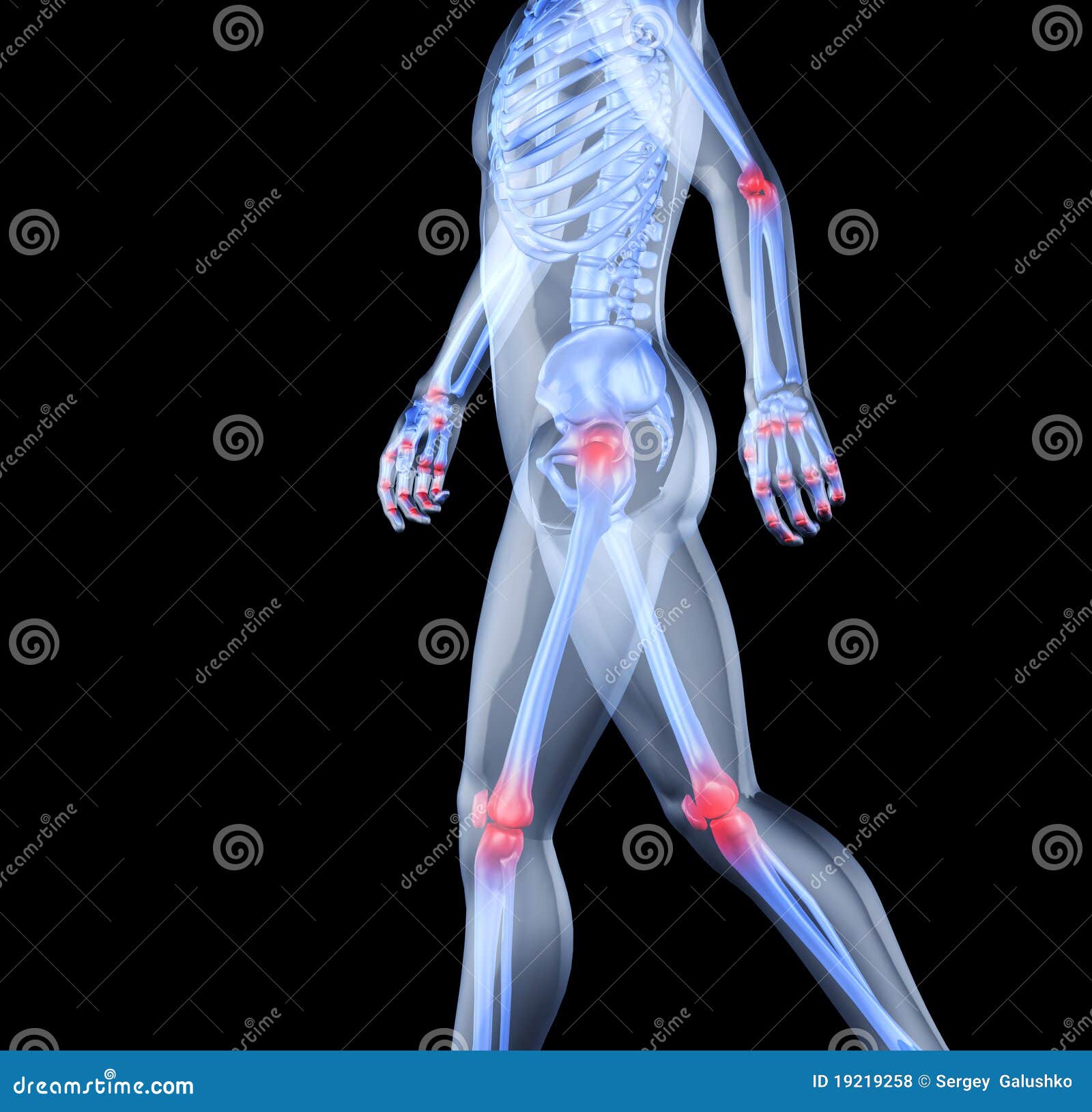 Scheletro dell'uomo illustrazione di stock. Illustrazione di anatomico ...