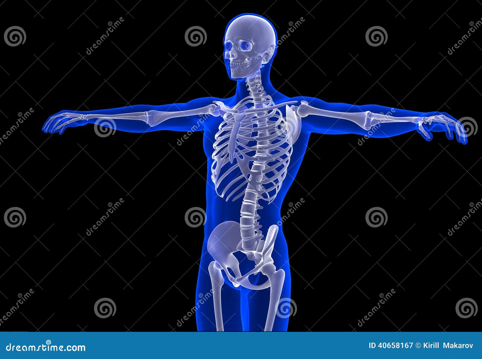 Scheletro Dell'uomo Contiene Il Percorso Di Ritaglio Illustrazione di ...