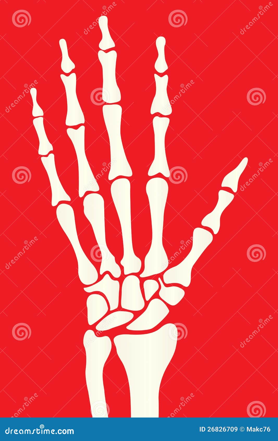 Scheletro della mano illustrazione di stock. Illustrazione di ...