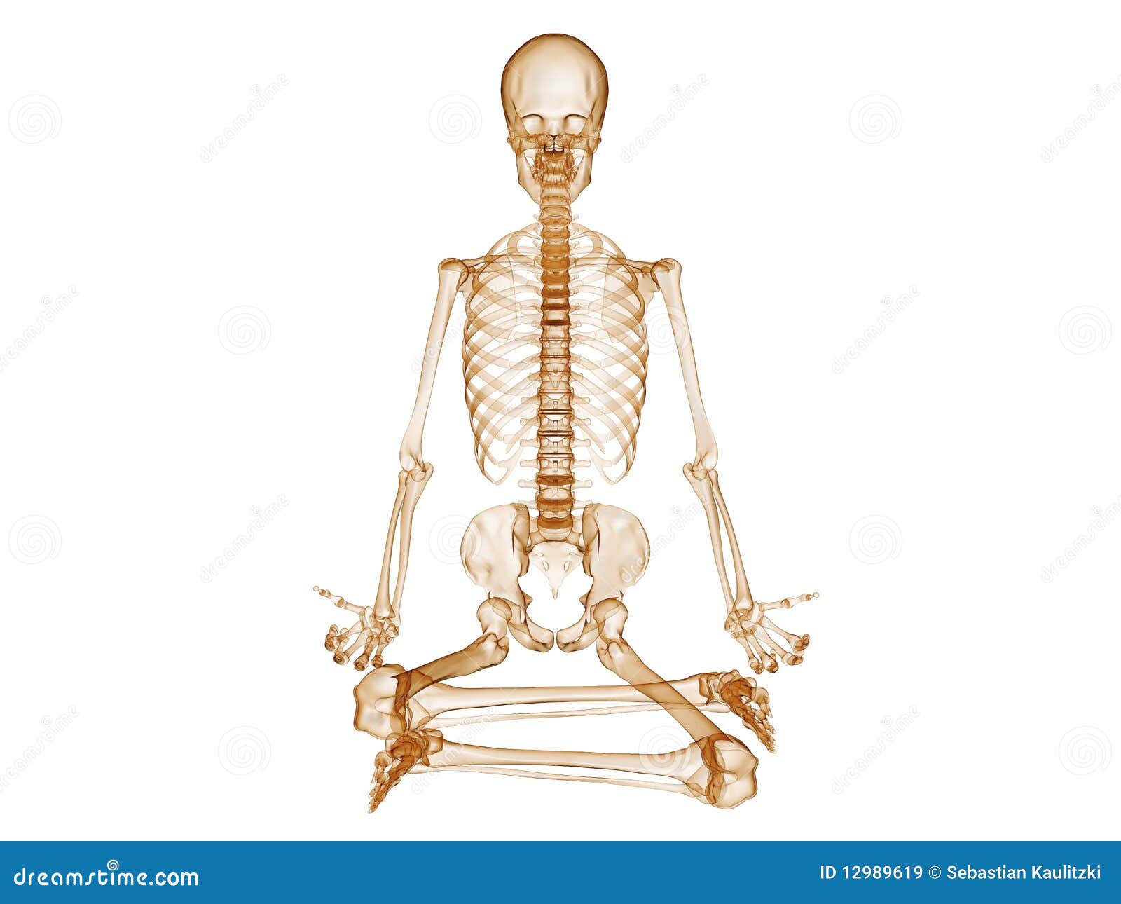 Scheletro di seduta illustrazione di stock. Illustrazione di sarto ...