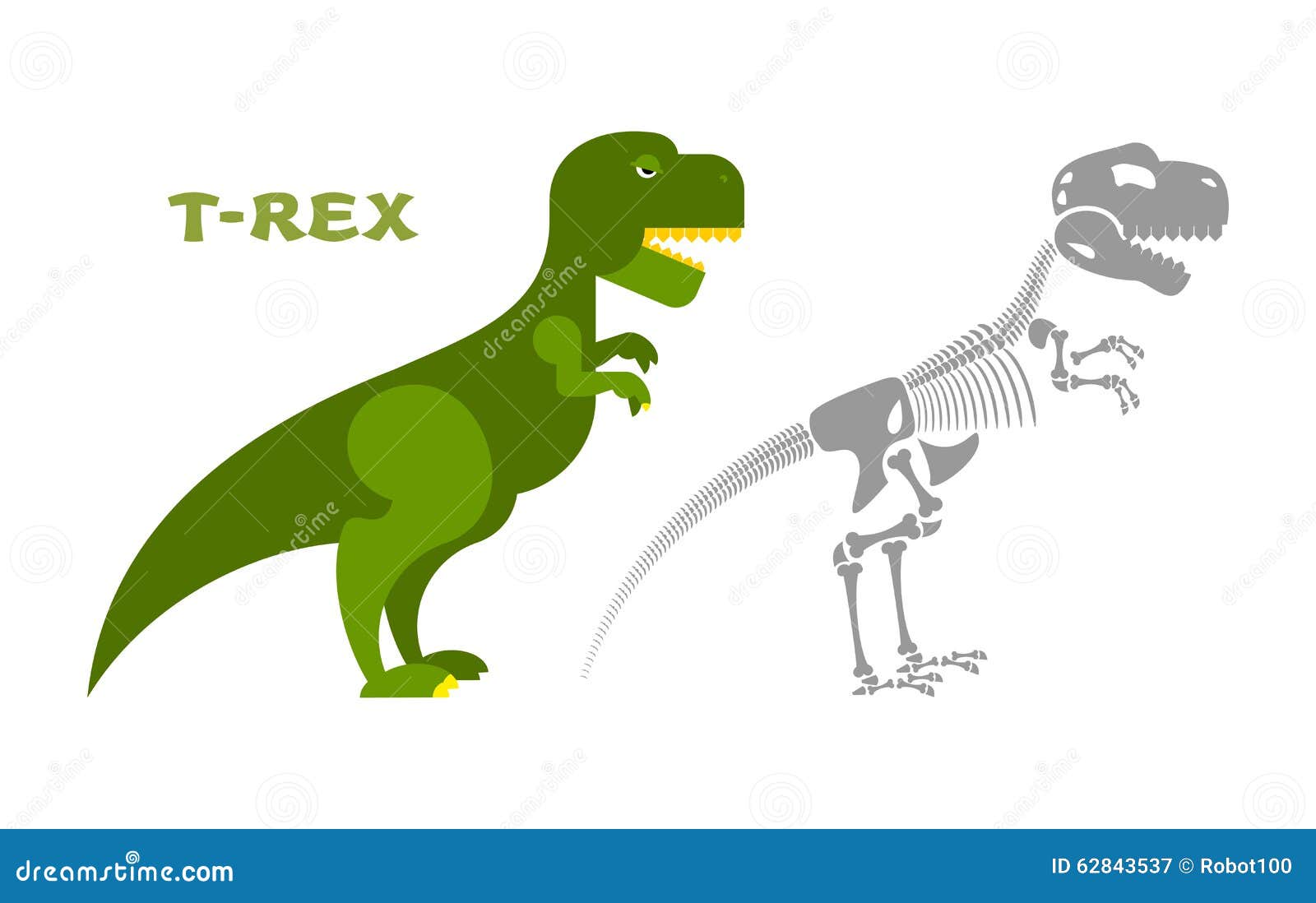Scheletro Di Tirannosauro Del Dinosauro Ossa E T-Rex Del Cranio ... Scheletro Di Tirannosauro Del Dinosauro Ossa E T-Rex Del Cranio ...