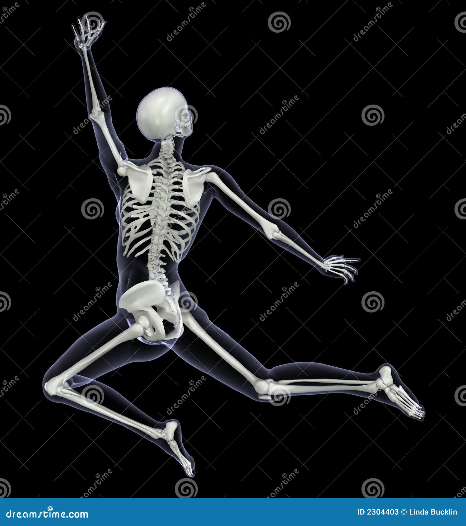 Scheletro nel movimento 1 illustrazione di stock. Illustrazione di ...