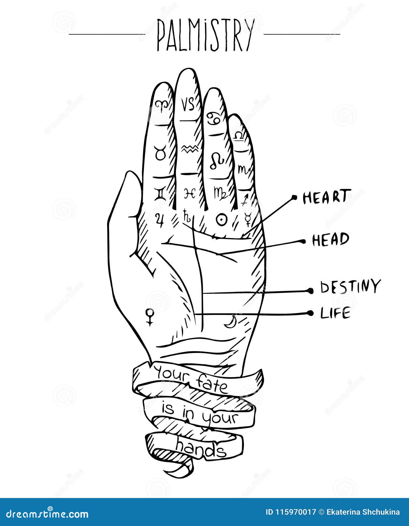 Schema Di Chiromanzia E Della Mano Illustrazione di Stock ...