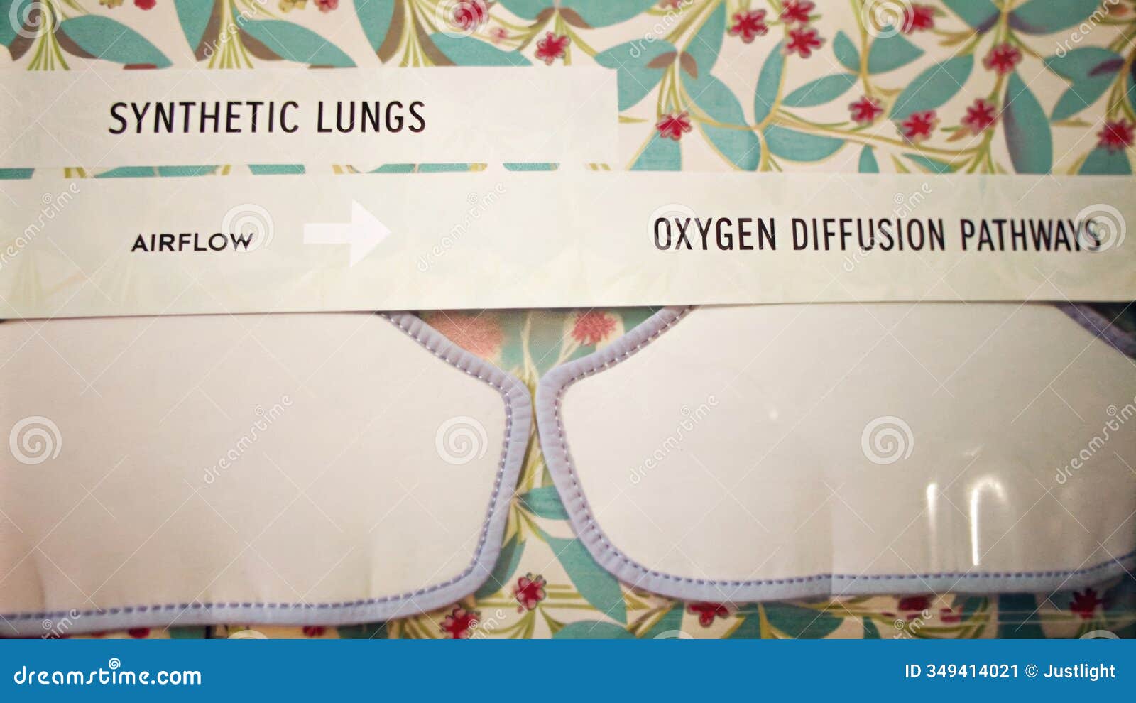 A Schematic Diagram Detailing the Process of Creating Synthetic Lungs ... A Schematic Diagram Detailing the Process of Creating Synthetic Lungs ...