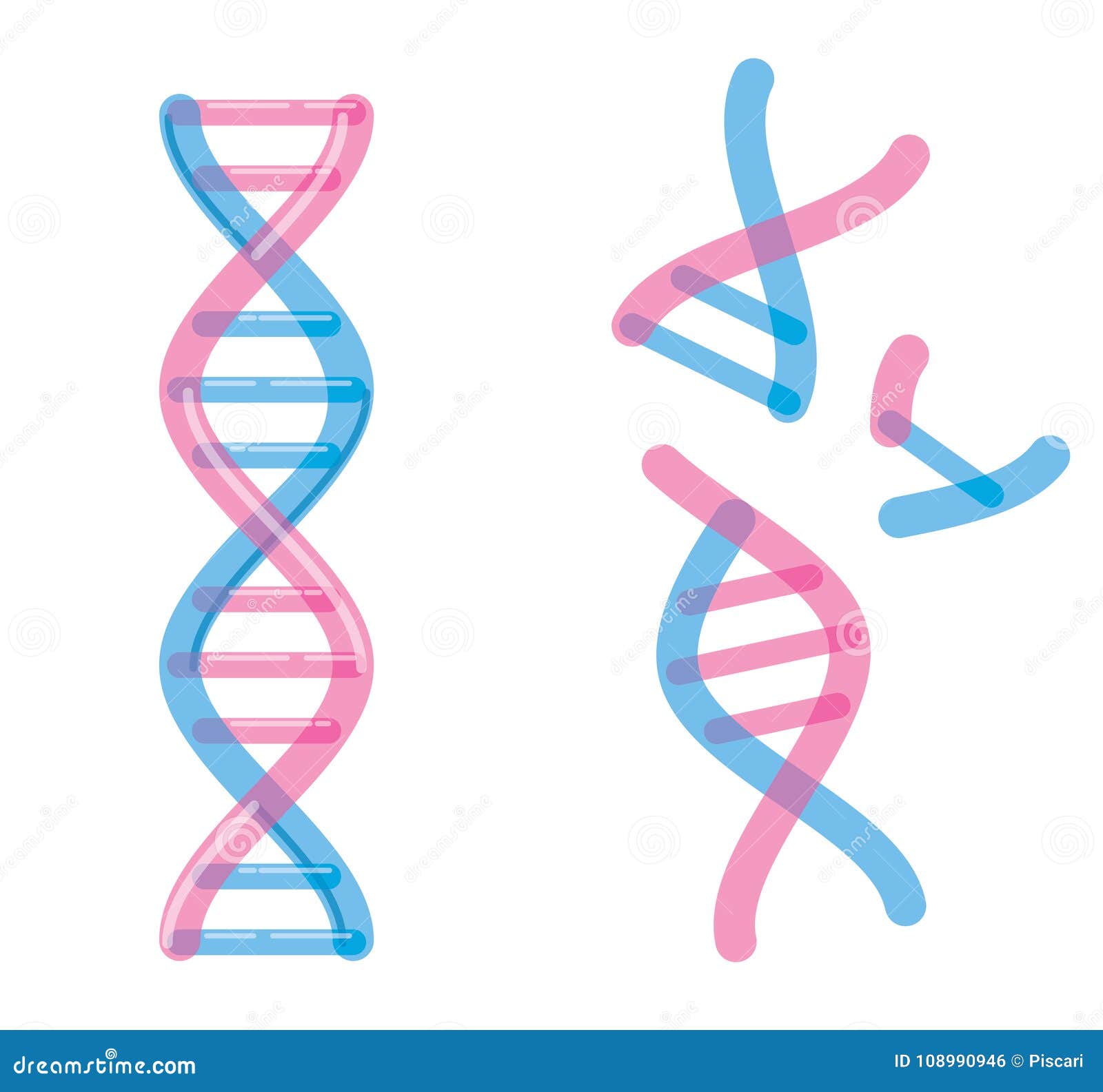 DNA helix stock illustration. Illustration of health - 108990946