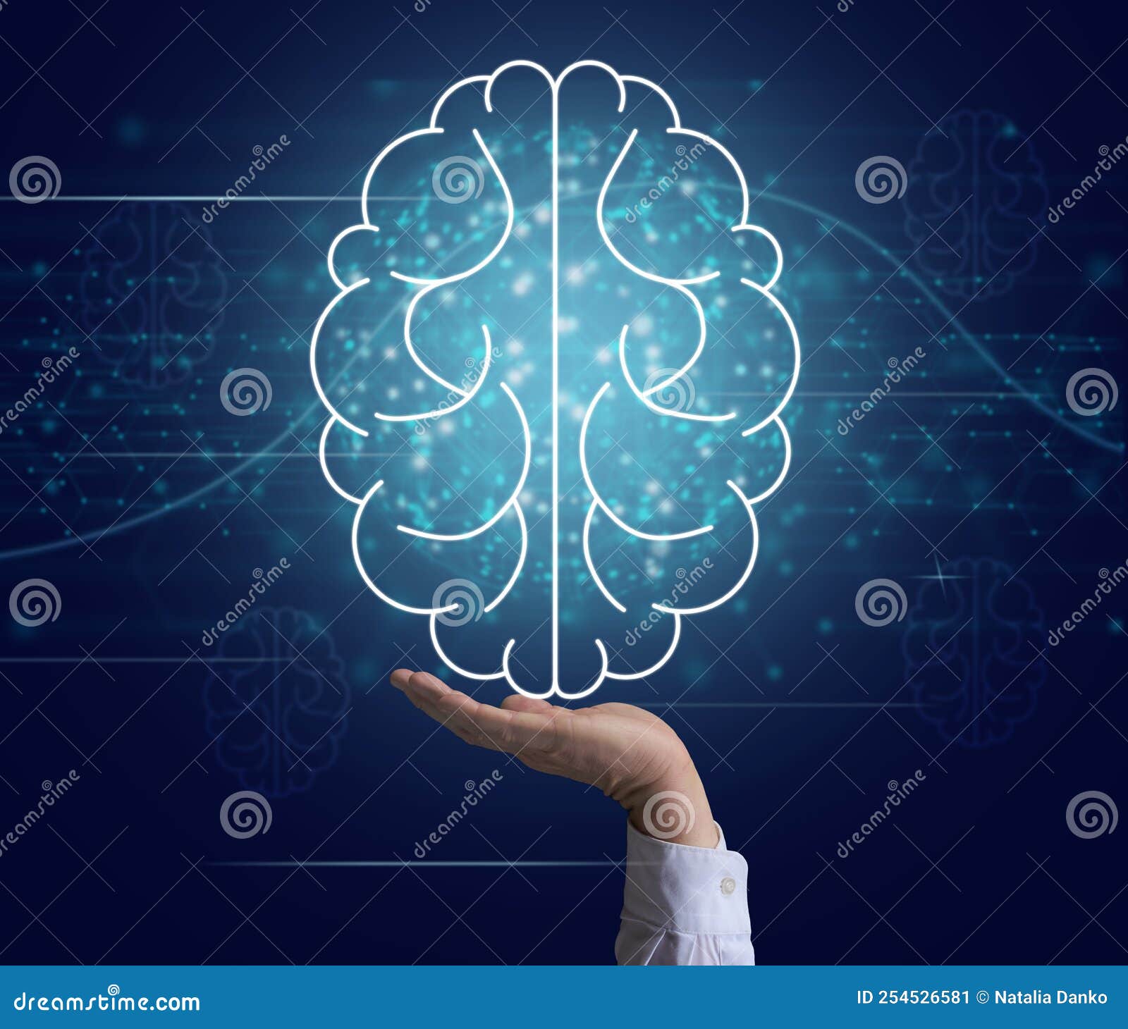 Schematic Human Brain Anatomy Side View With Pink Roses Royalty-Free ...