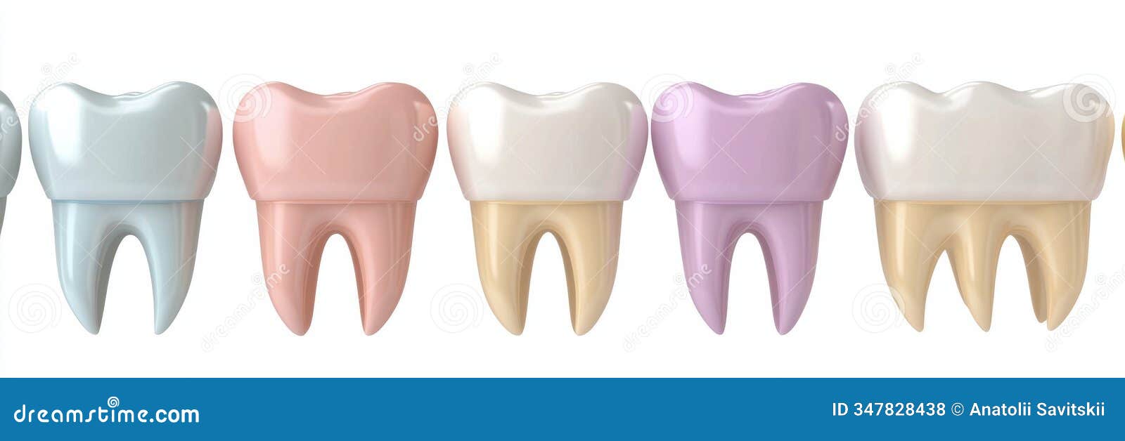 Schematic Illustrates A Row Of Healthy Teeth With Colored Dental ...
